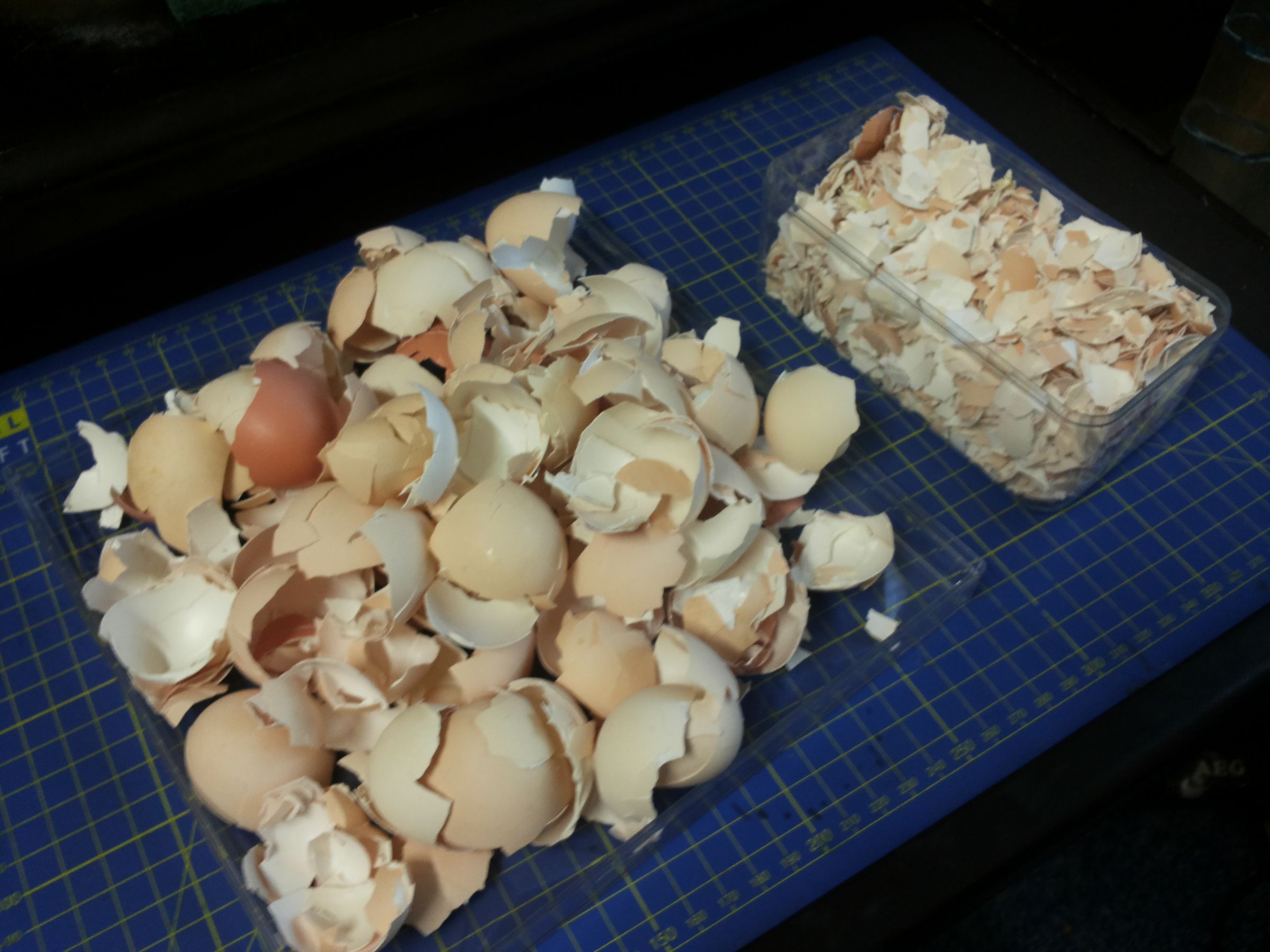 Make an Eggshell Sculpture ! : 6 Steps (with Pictures) - Instructables