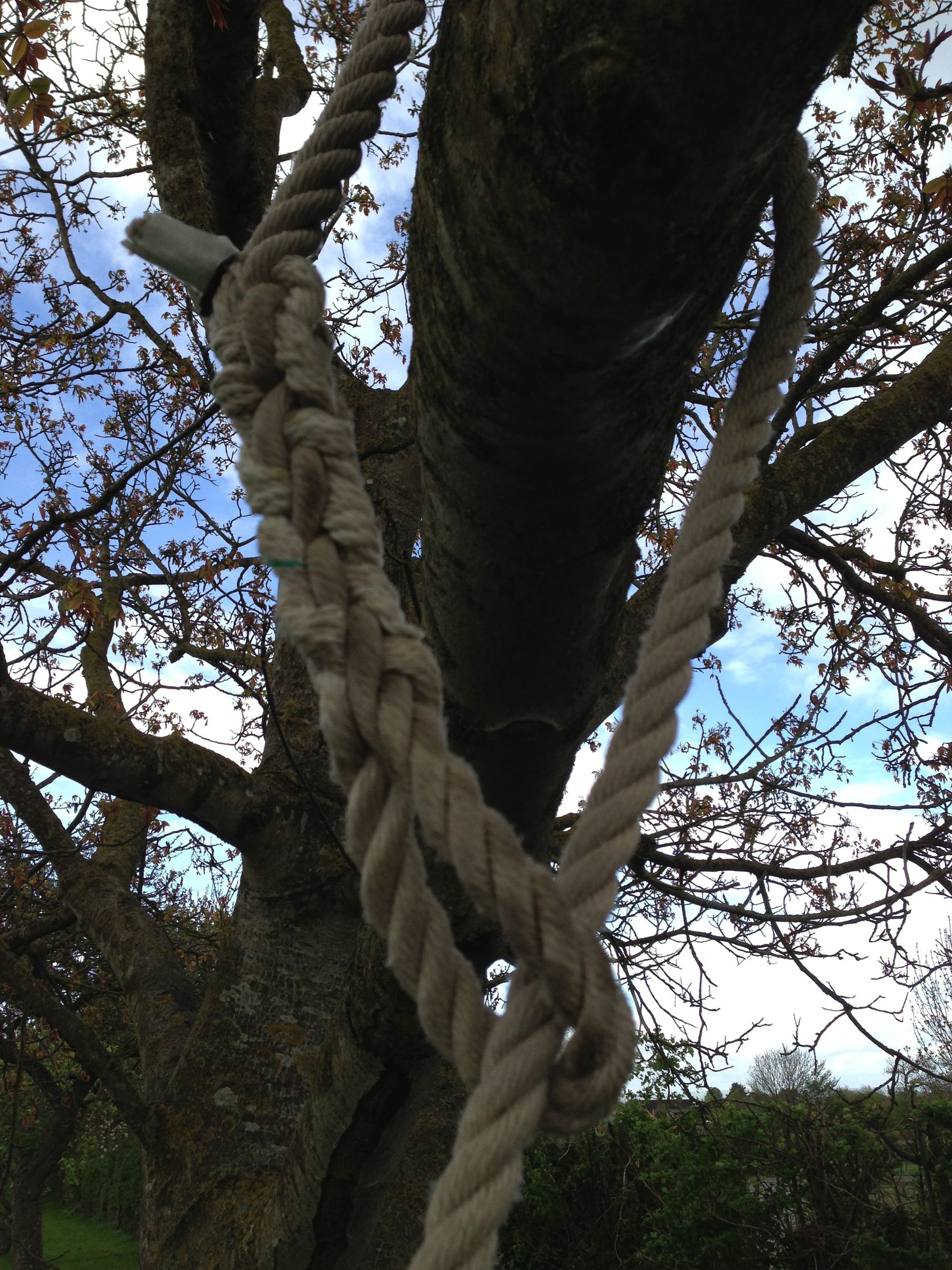 Traditional Garden Tree Swing : 6 Steps - Instructables