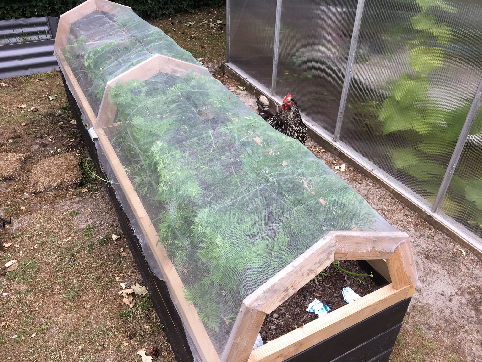 Fixing and Improving Old Greenhouse : 15 Steps (with Pictures ...