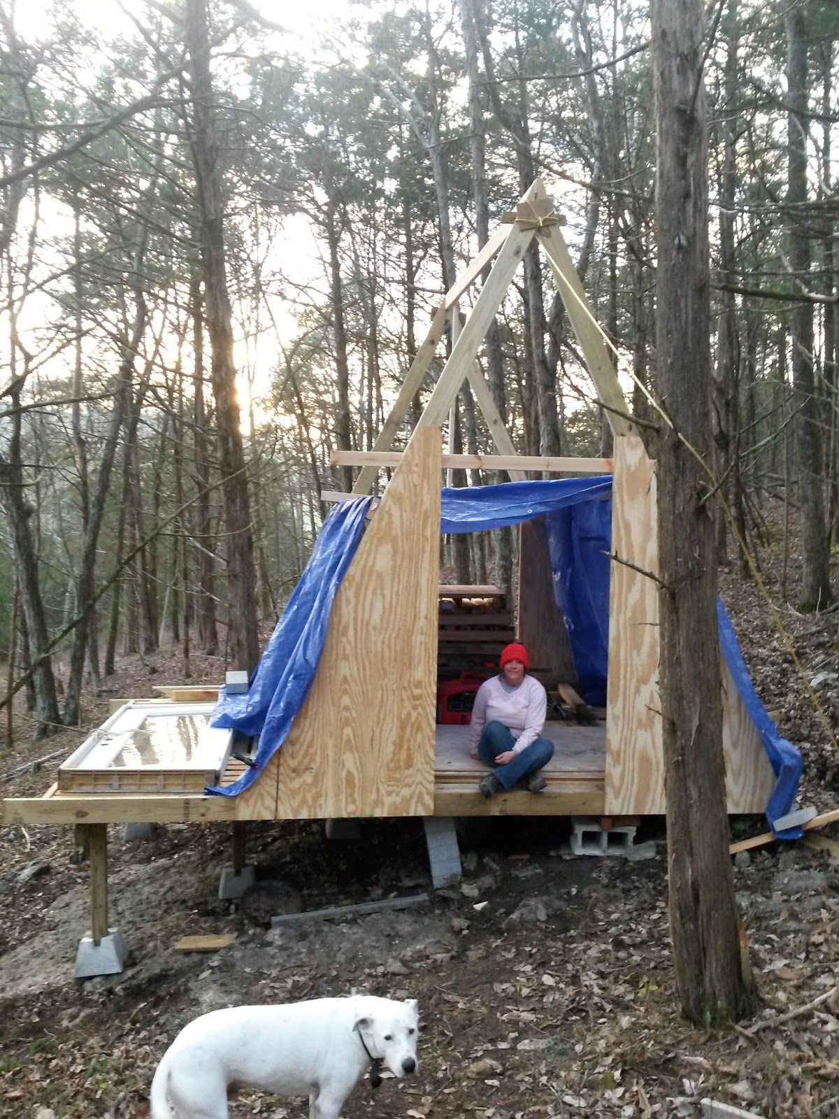 Convertible A-Frame Cabin : 8 Steps (with Pictures) - Instructables