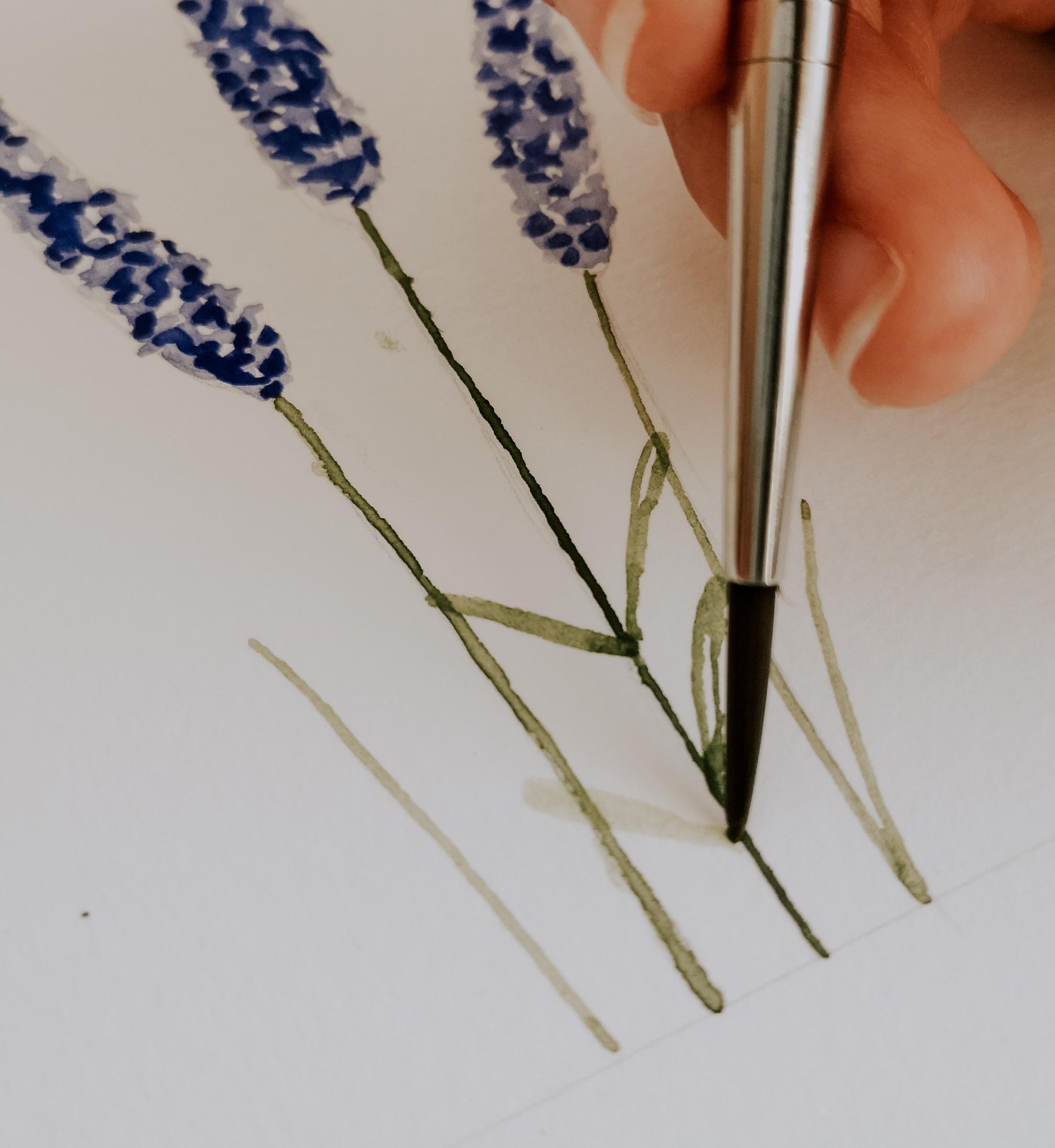 How to Paint a Beautiful Watercolor Lavender : 8 Steps (with Pictures ...