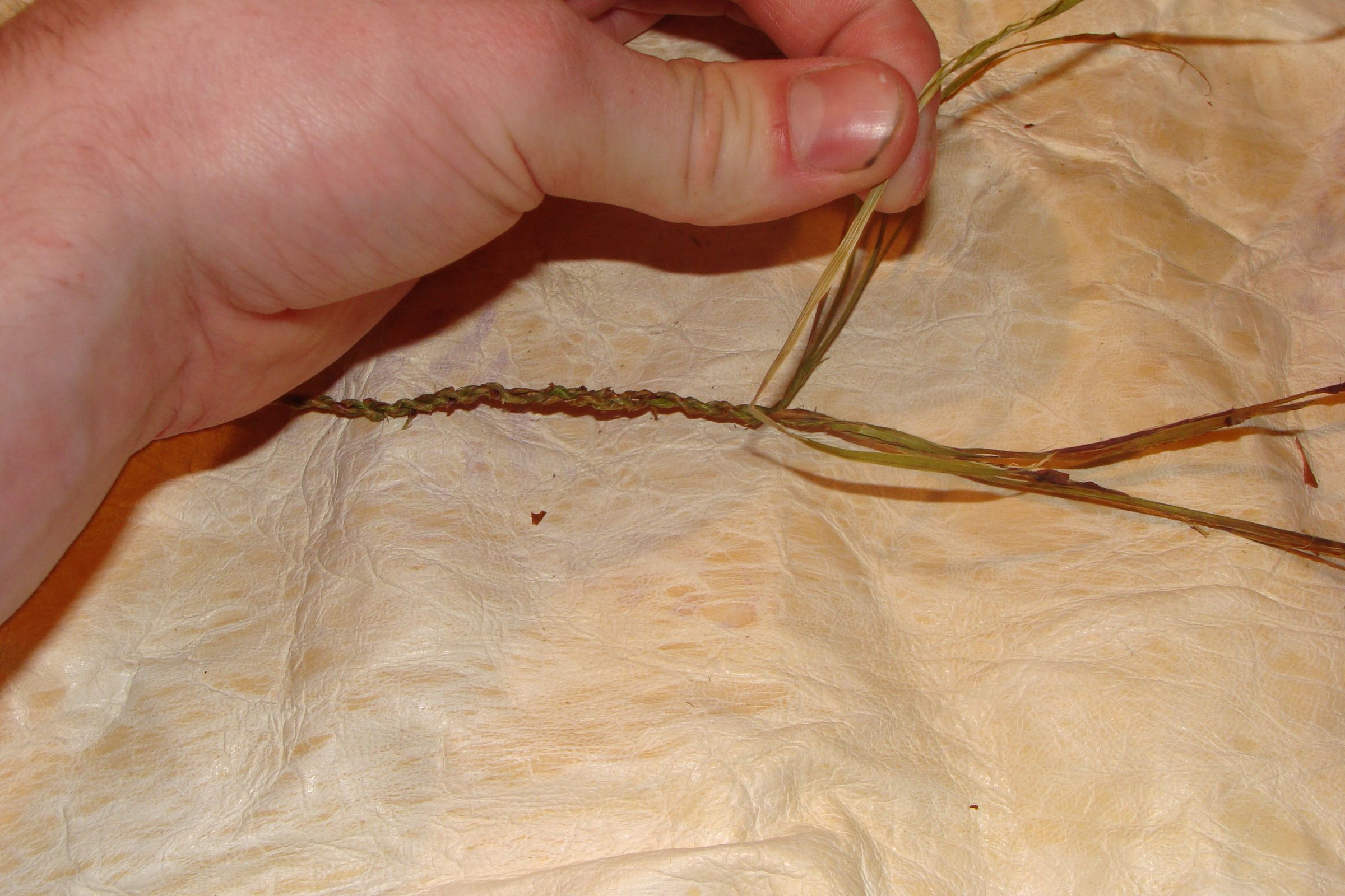 Natural Cordage : 7 Steps (with Pictures) - Instructables