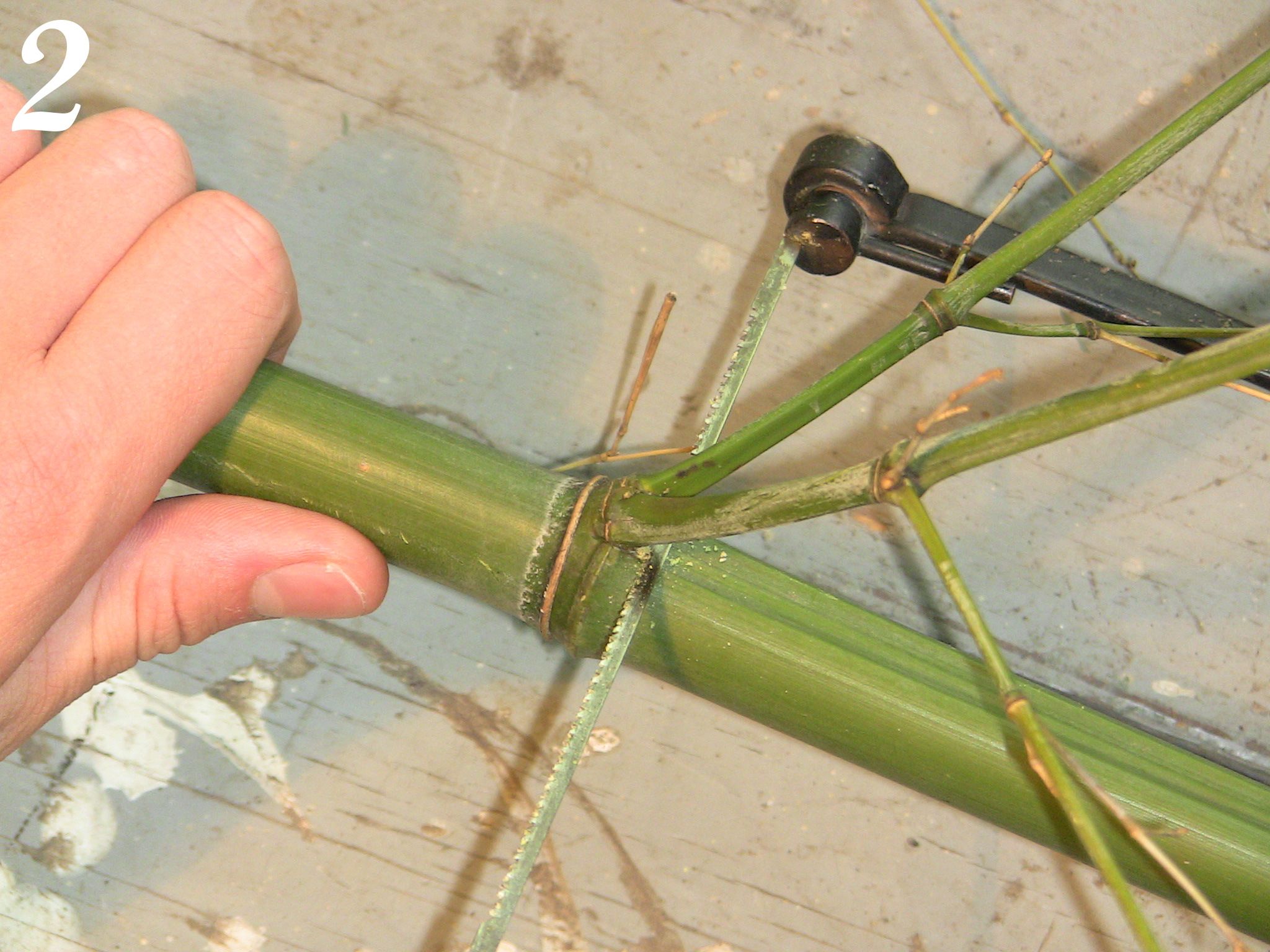 Make 4 Easy Bamboo Flutes for Free! : 7 Steps (with Pictures ...