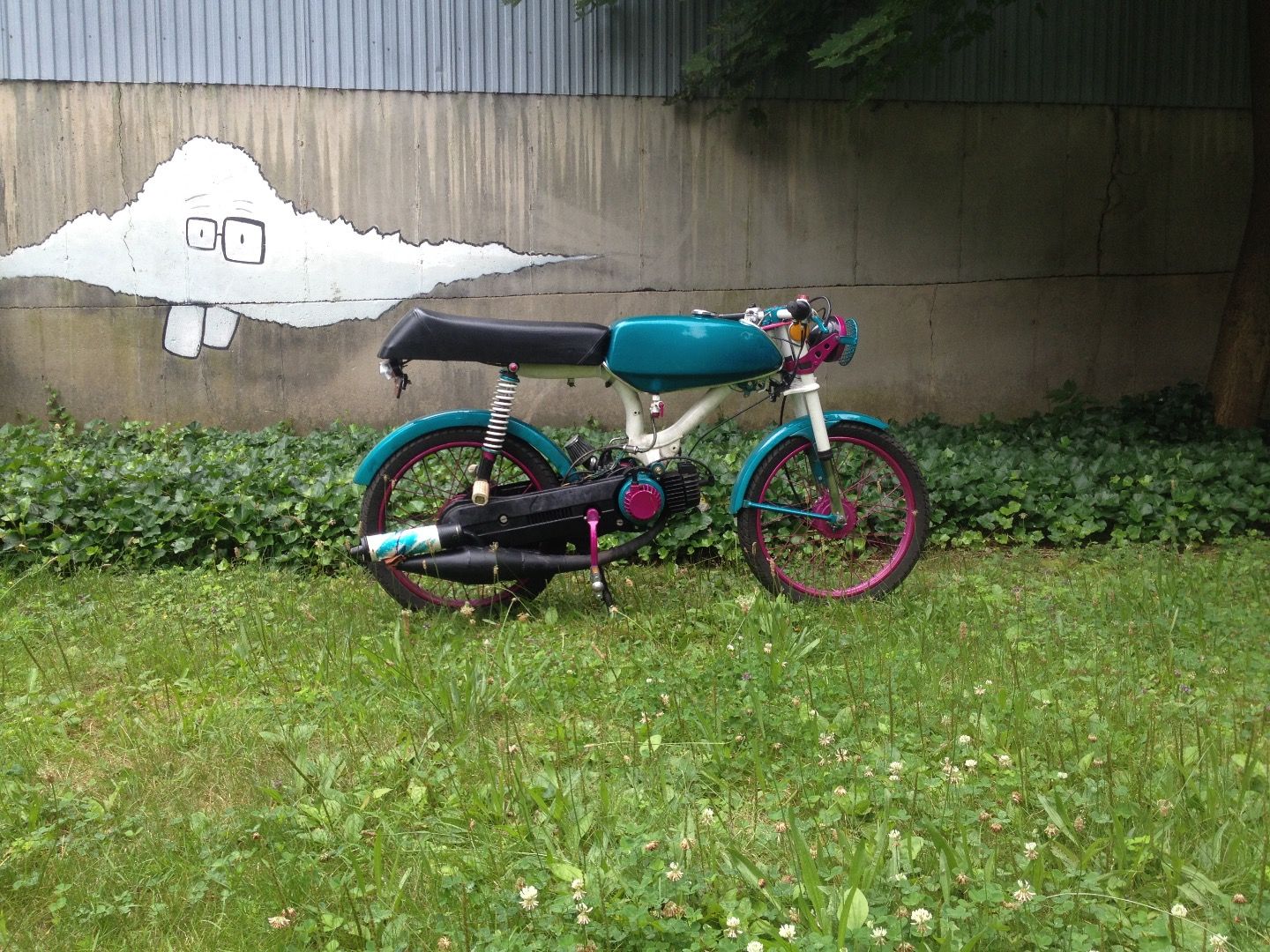 Building a Bike: Custom Honda Hobbit Moped : 8 Steps - Instructables