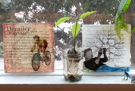 Transfer Photos Onto Plexiglass : 4 Steps (with Pictures) - Instructables