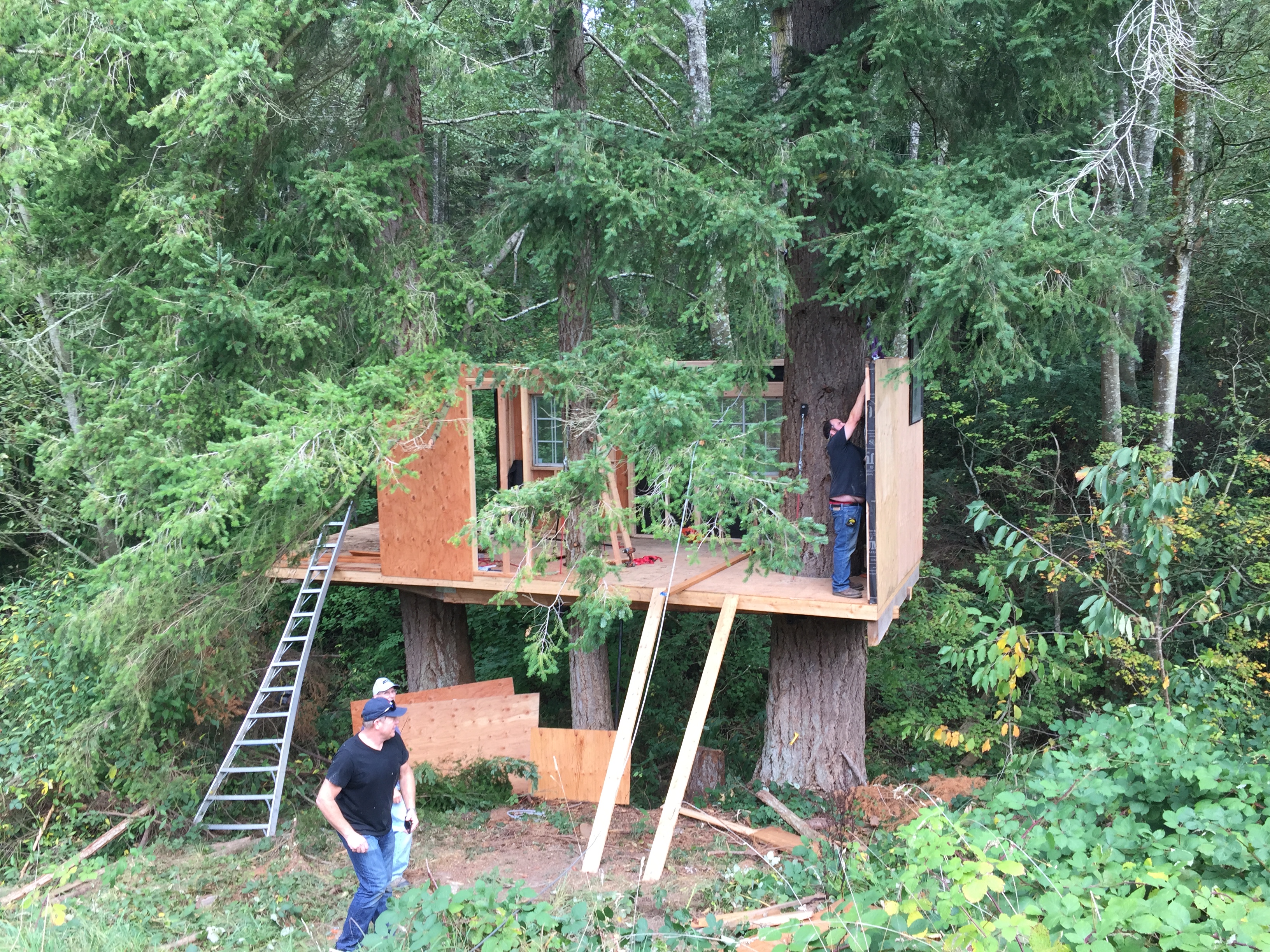 Treehouse Build : 10 Steps (with Pictures) - Instructables
