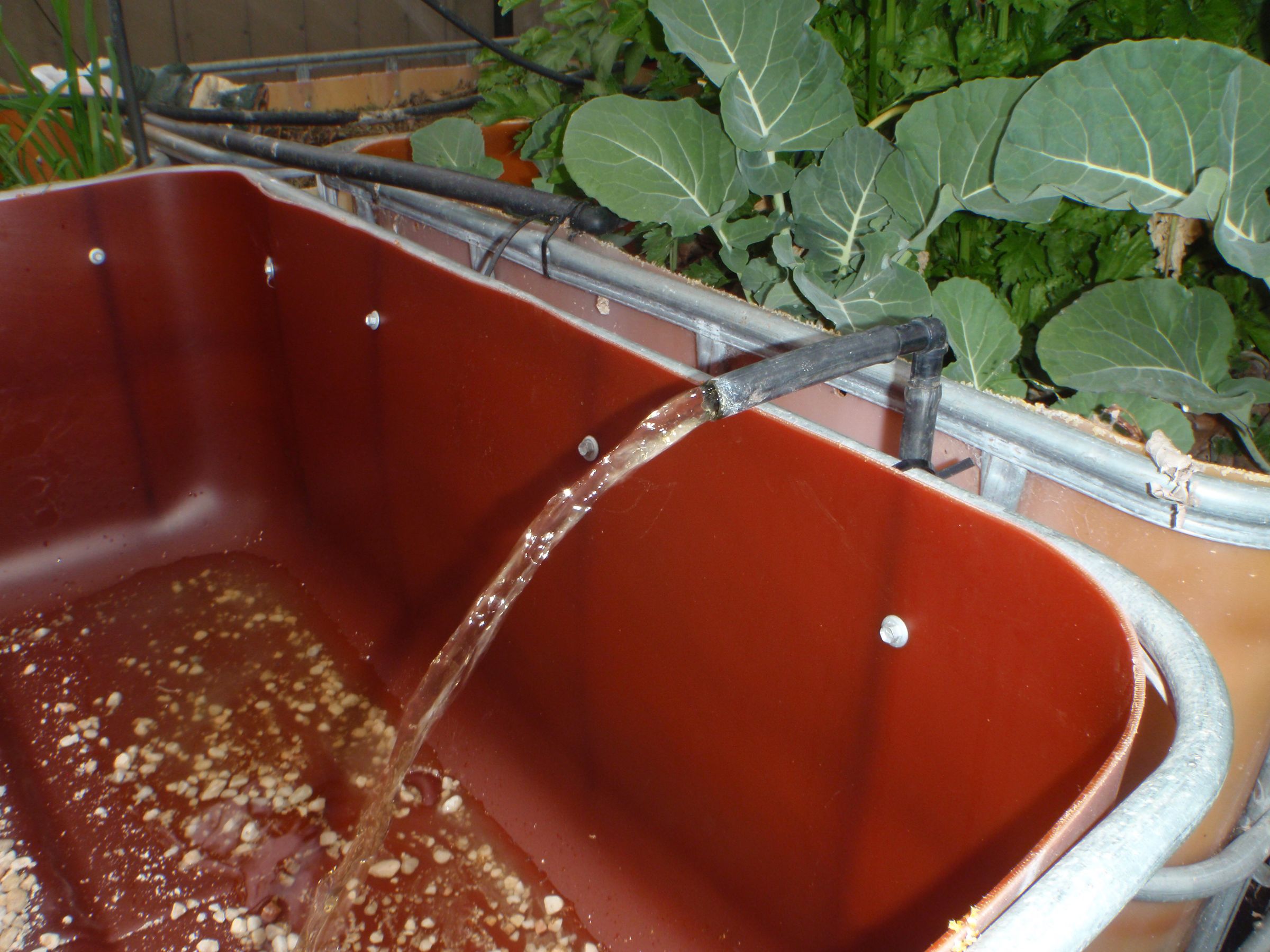 Vermiponic Garden : 12 Steps (with Pictures) - Instructables