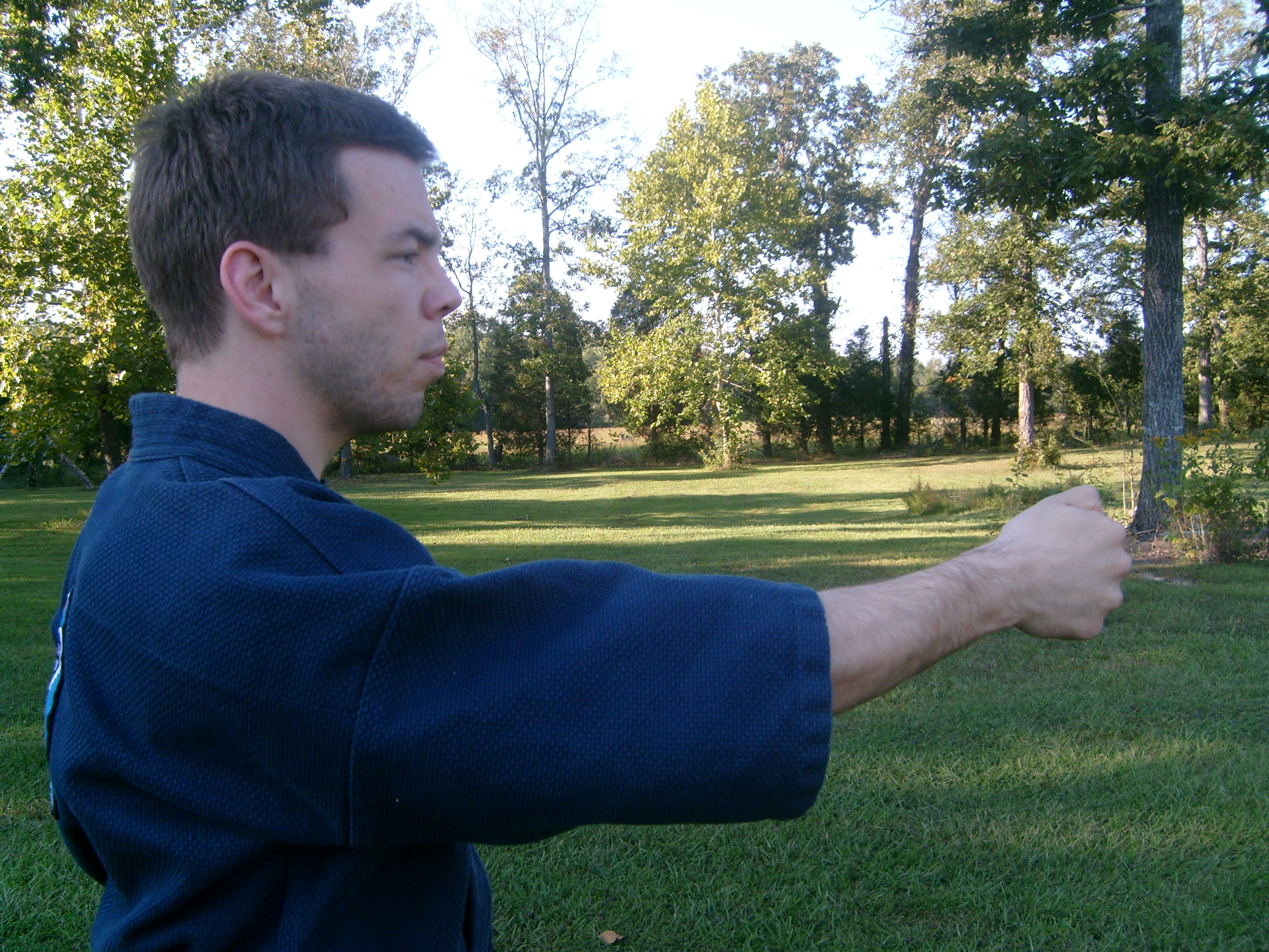 How to Throw a Punch : 6 Steps (with Pictures) - Instructables