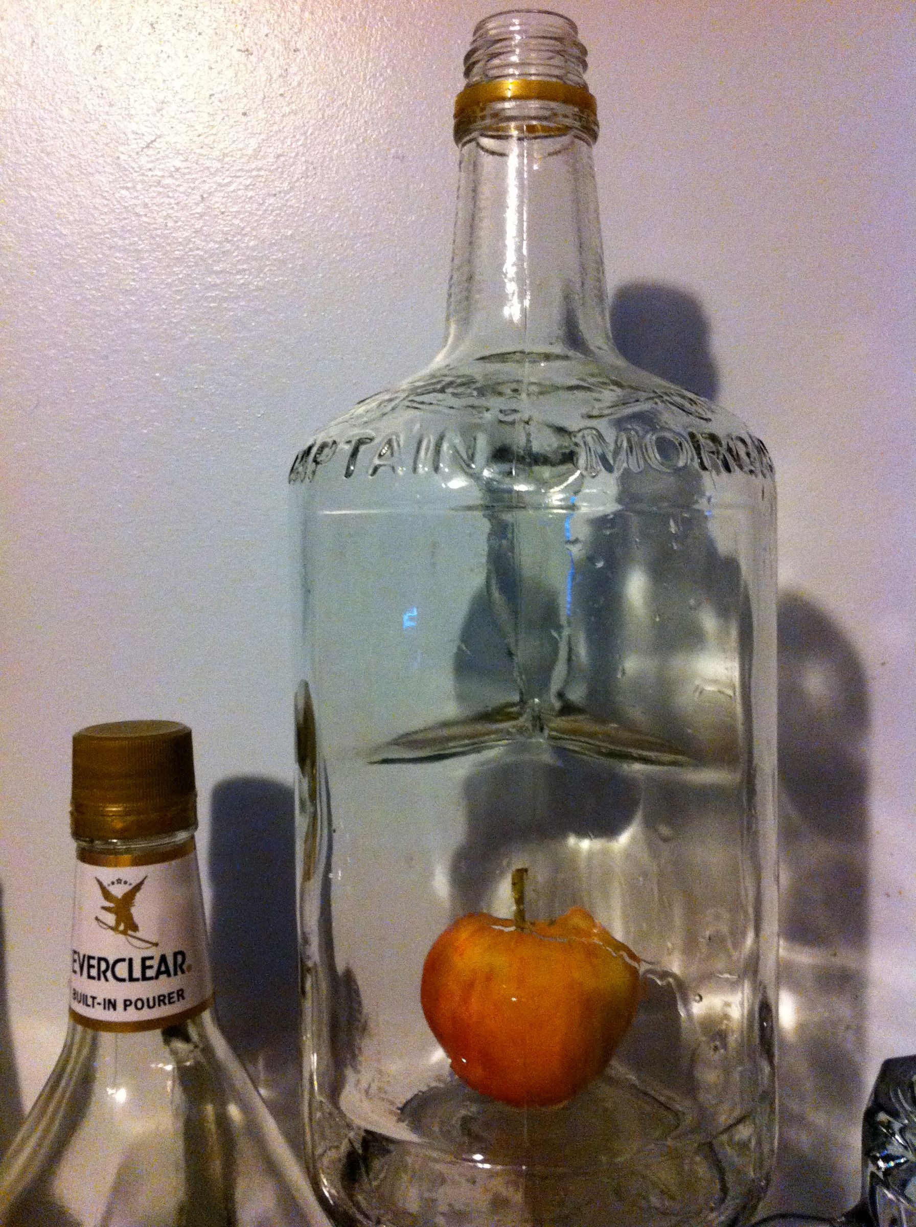 How to Grow an Apple in a Bottle : 15 Steps (with Pictures) - Instructables