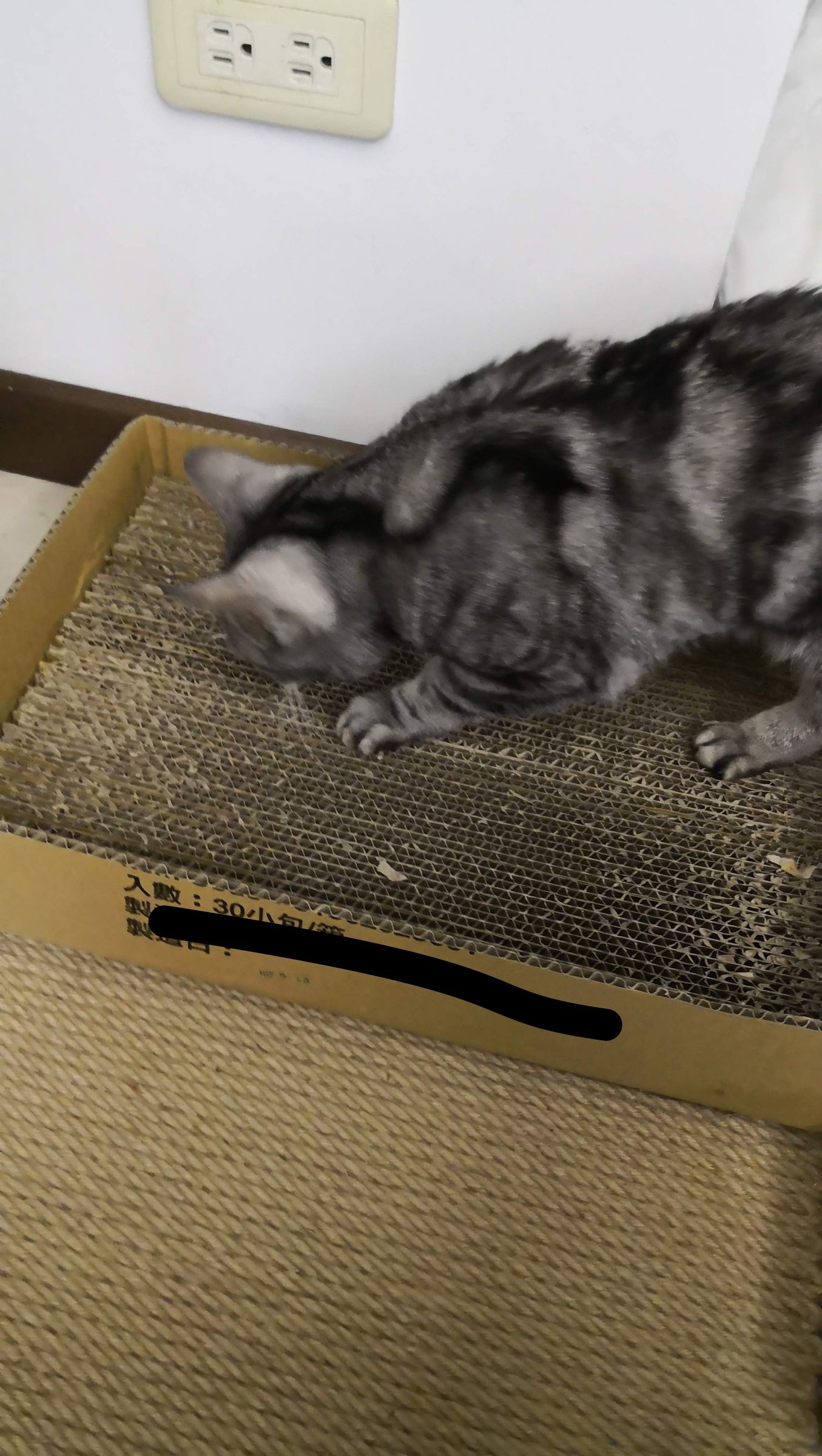 Cat Scratching Pad : 5 Steps (with Pictures) - Instructables