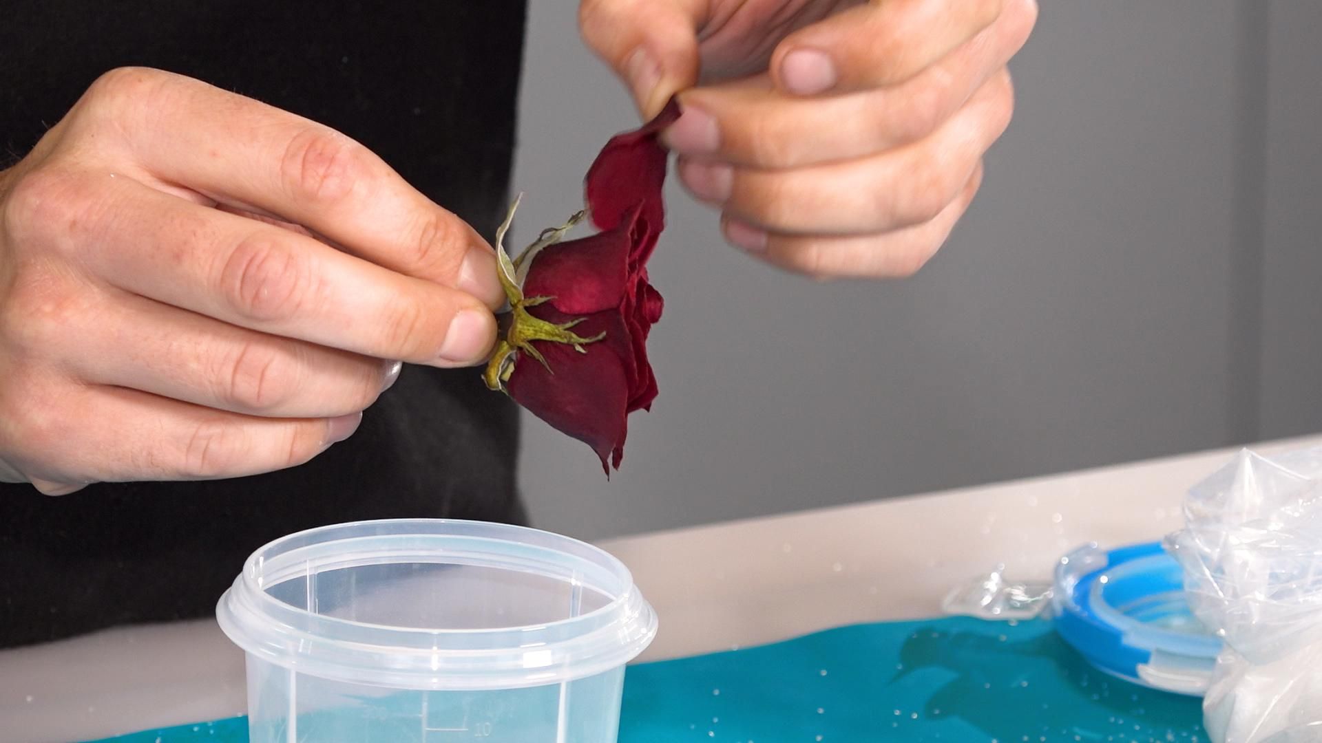 How to Cast Flowers in Epoxy Resin - DIY Resin Rose Paperweight! : 8 ...