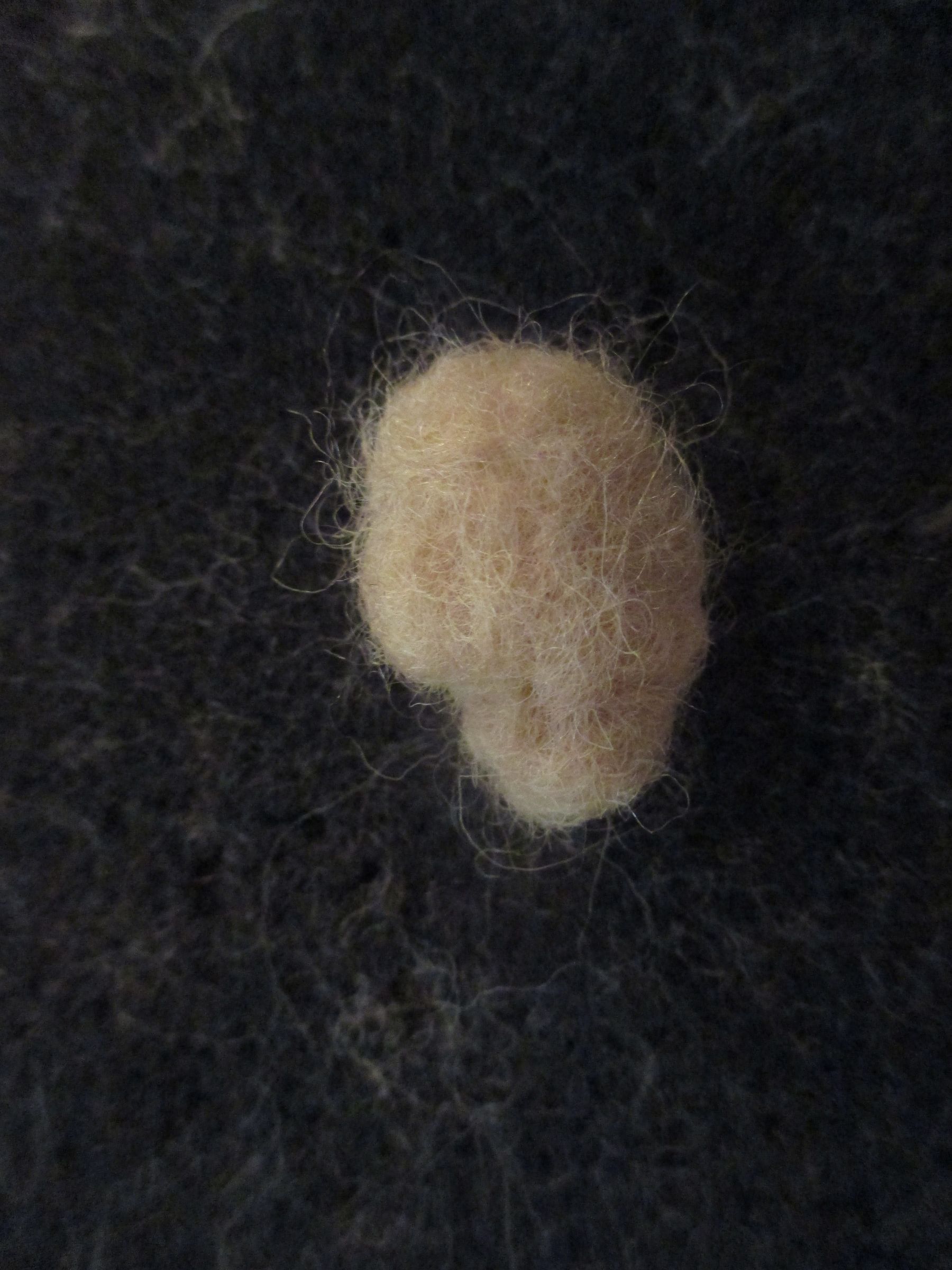 Tiny Needle Felted Dog : 6 Steps (with Pictures) - Instructables