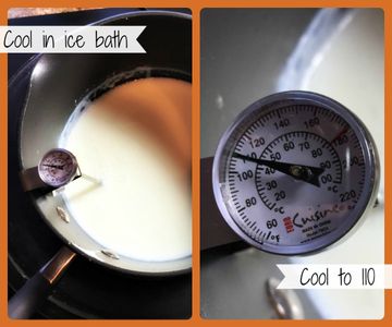 How to Make Nonfat Greek Yogurt : 7 Steps (with Pictures) - Instructables