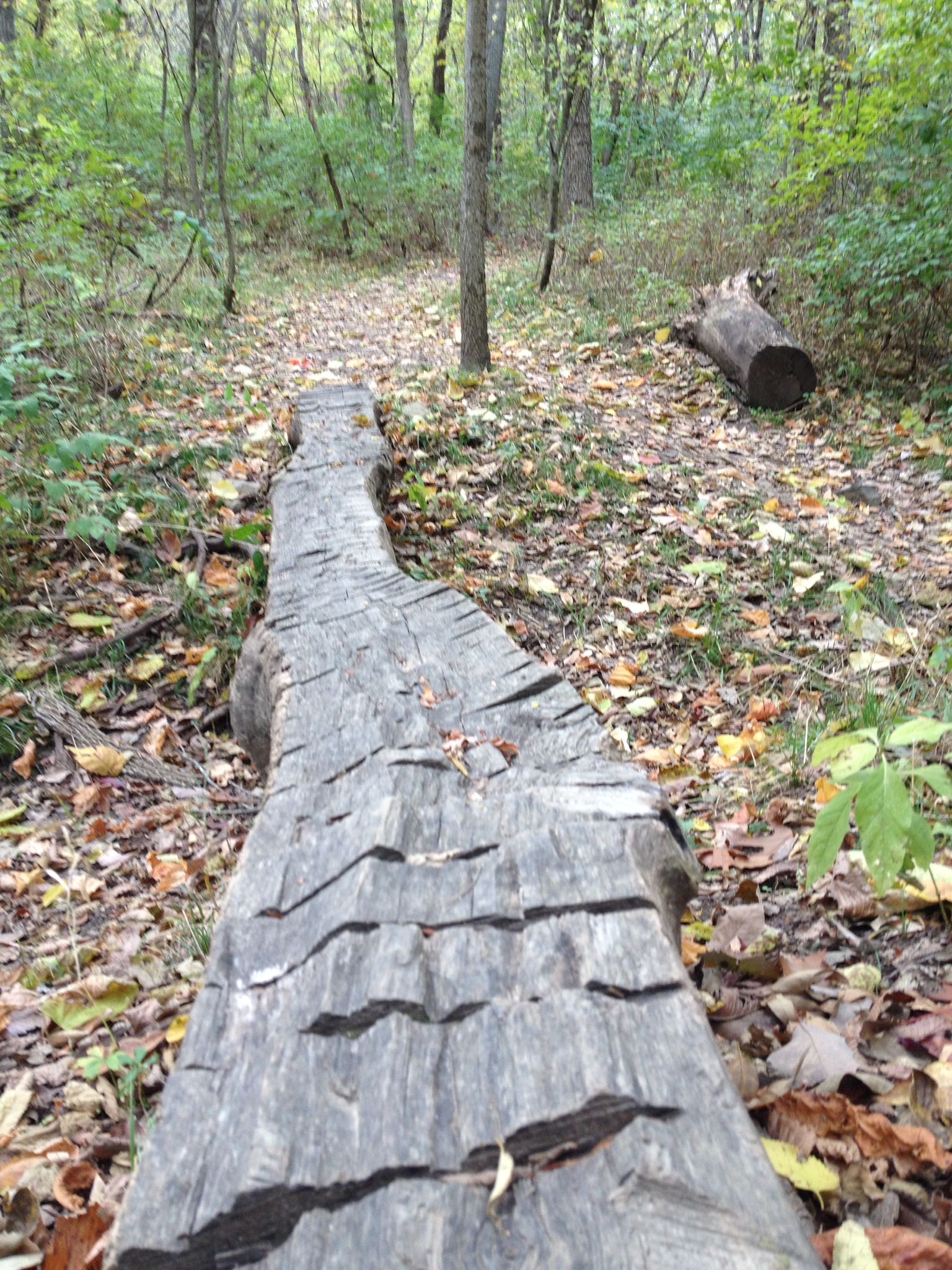How to Make a Mountain Bike Bridge : 4 Steps - Instructables