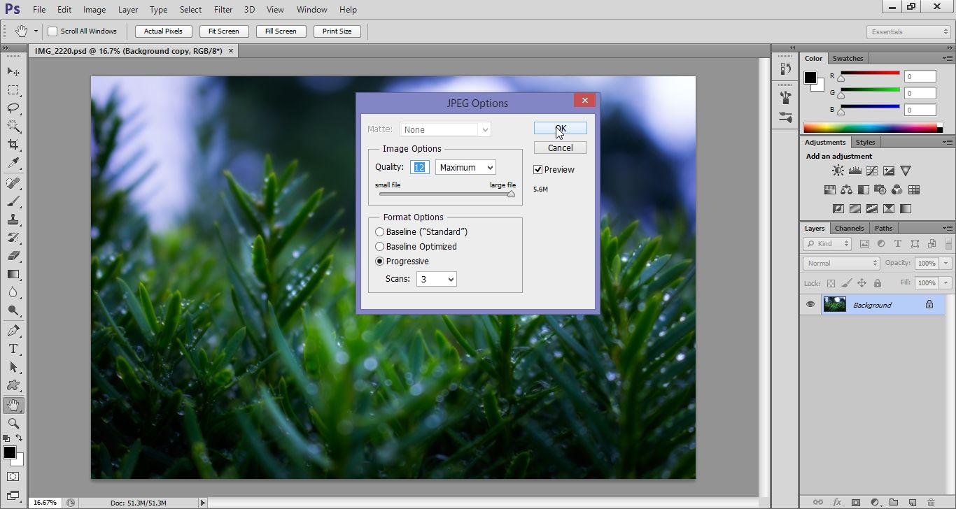 A Complete Beginner's Guide to Raw Files and Raw Processing : 11 Steps ...