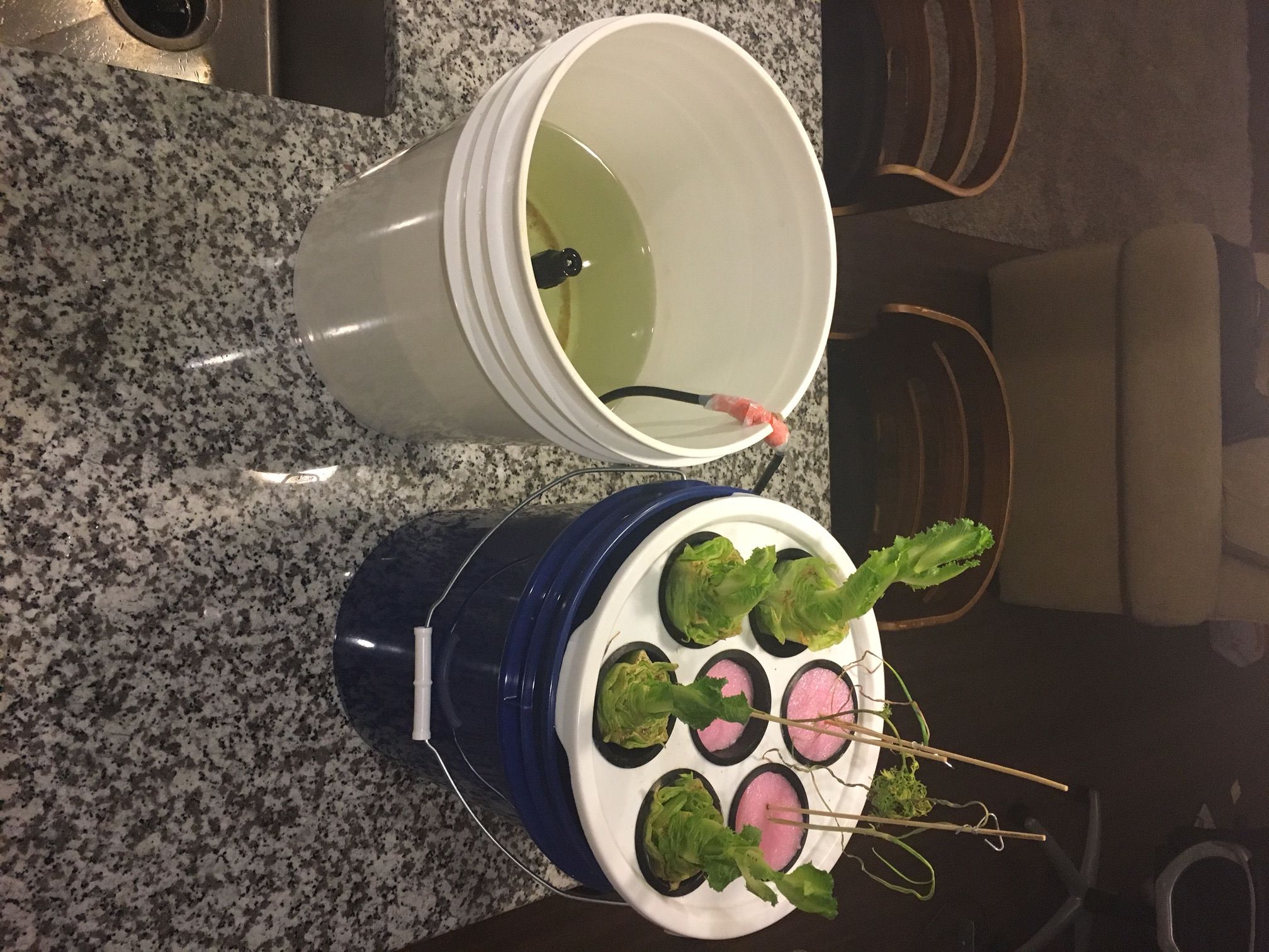 Lettuce for Life - Arduino 101 Based Automated Controller for Hydroponics, Aeroponics ...