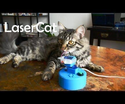 LaserCat : 5 Steps - Instructables