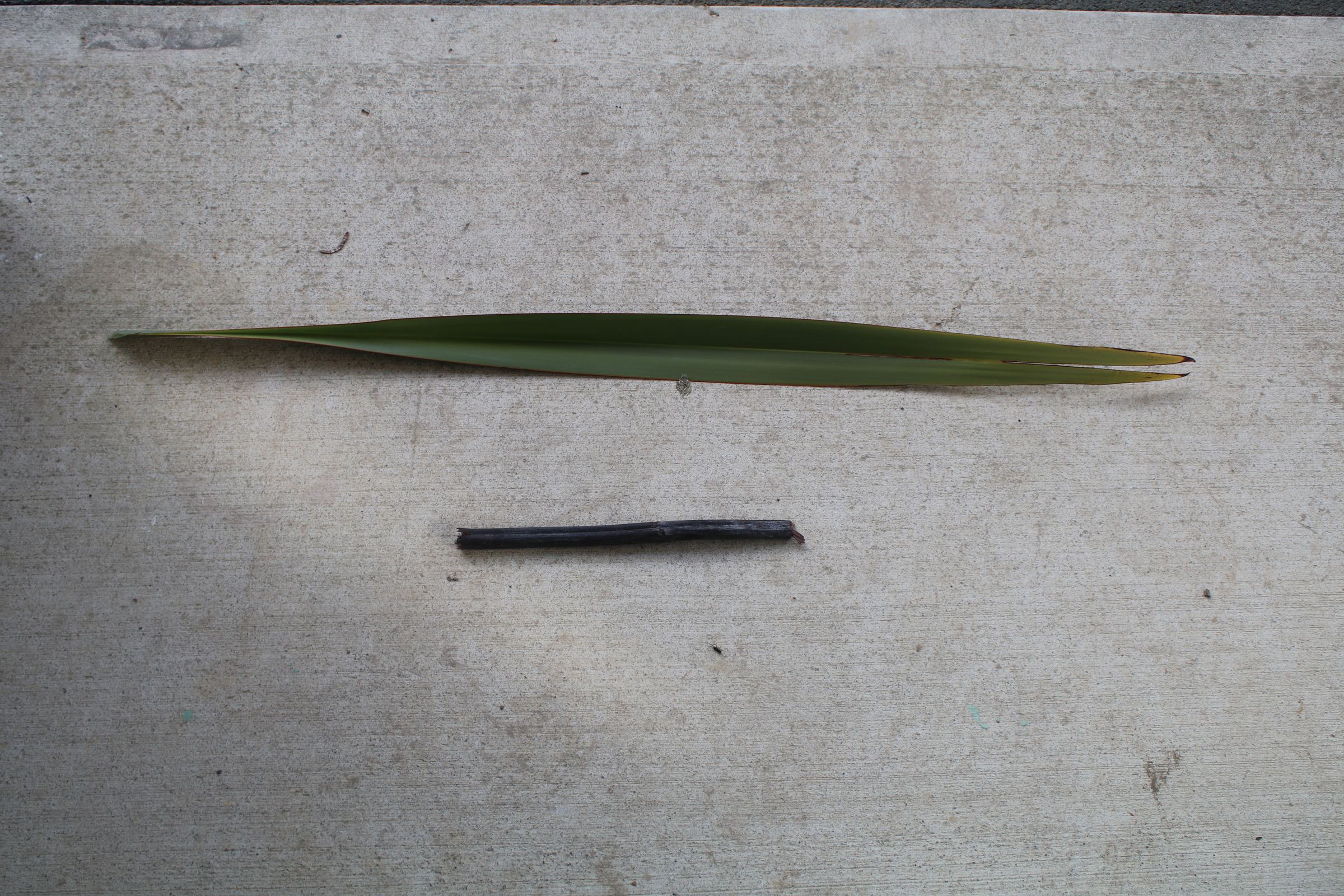 How to Carve a Flax Boat : 10 Steps (with Pictures) - Instructables