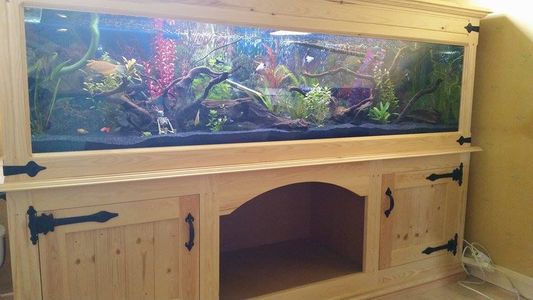 D.I.Y Aquarium Wooden Pine Stand : 34 Steps - Instructables