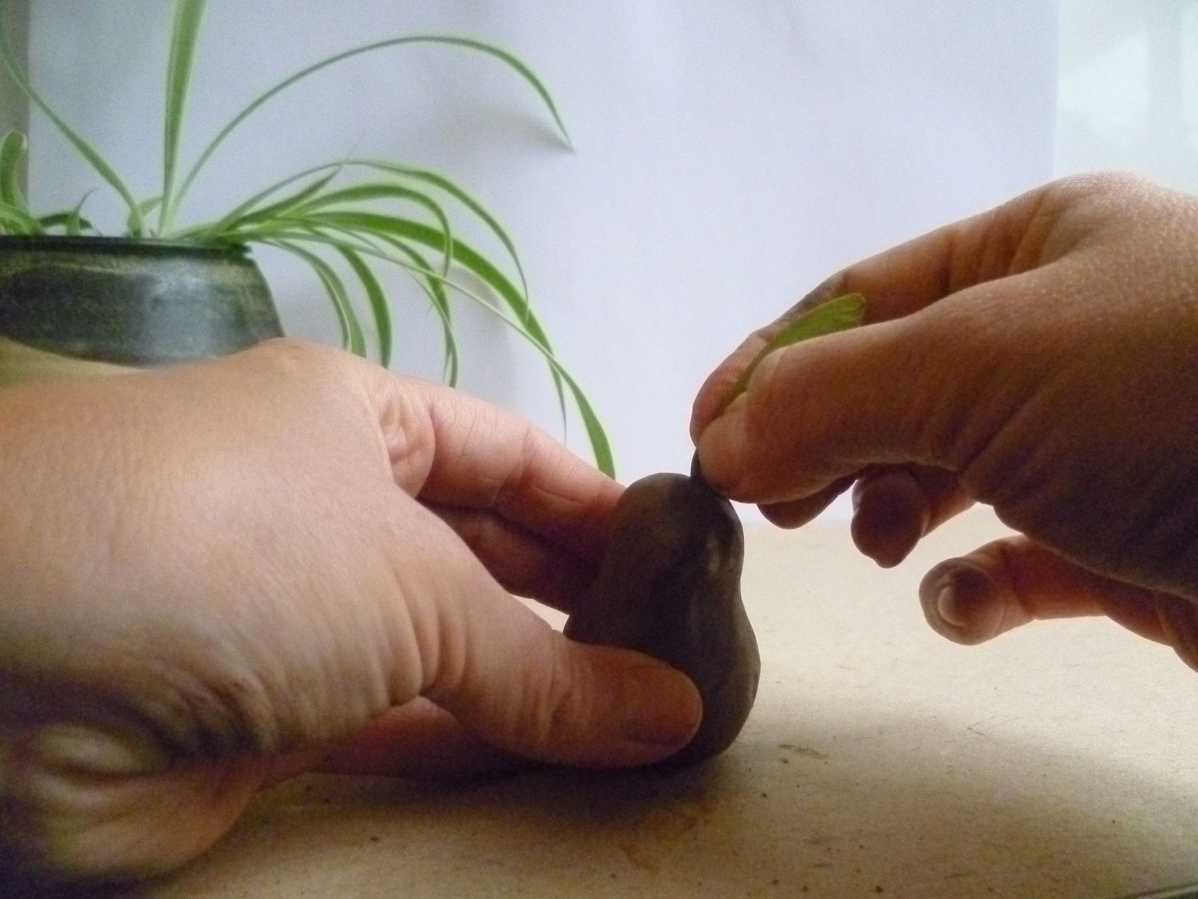 Clay Modelling - Woodland Creatures : 10 Steps (with Pictures ...