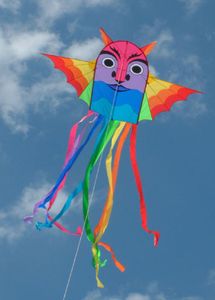 Some Kiting Basics : 7 Steps (with Pictures) - Instructables