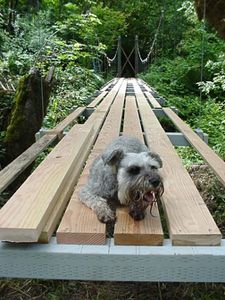 Building a Small Cable Suspension Bridge - the Basics Plus a Video Demo ...