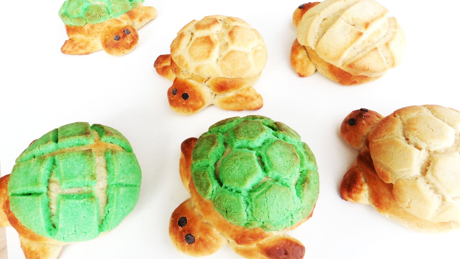 Turtle Bread: Tortuga Conchas : 6 Steps (with Pictures) - Instructables