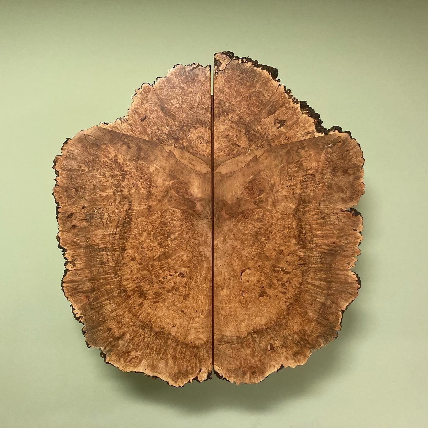 Round Cabinet With Burl Doors : 10 Steps (with Pictures) - Instructables
