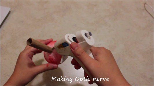 How to Make 3D Human Eye Model: Easy Way - Instructables