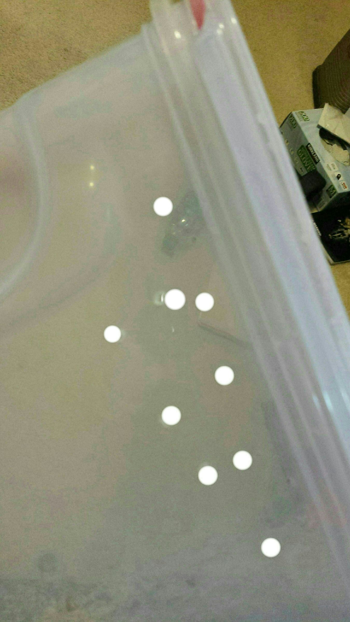Cricket Storage and Feeding Container : 4 Steps - Instructables