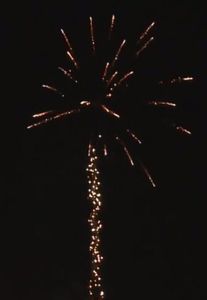 How to Plan and Launch a Fireworks Show : 12 Steps (with Pictures ...
