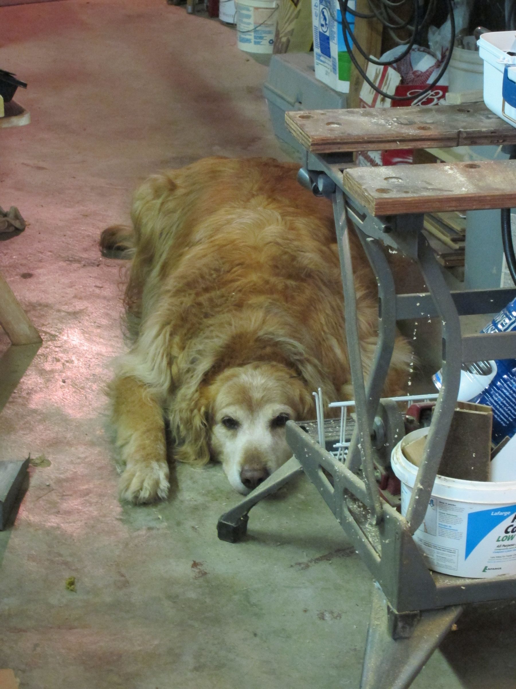 Build Your Own Aperture Science Portal Gun : 13 Steps (with Pictures ...