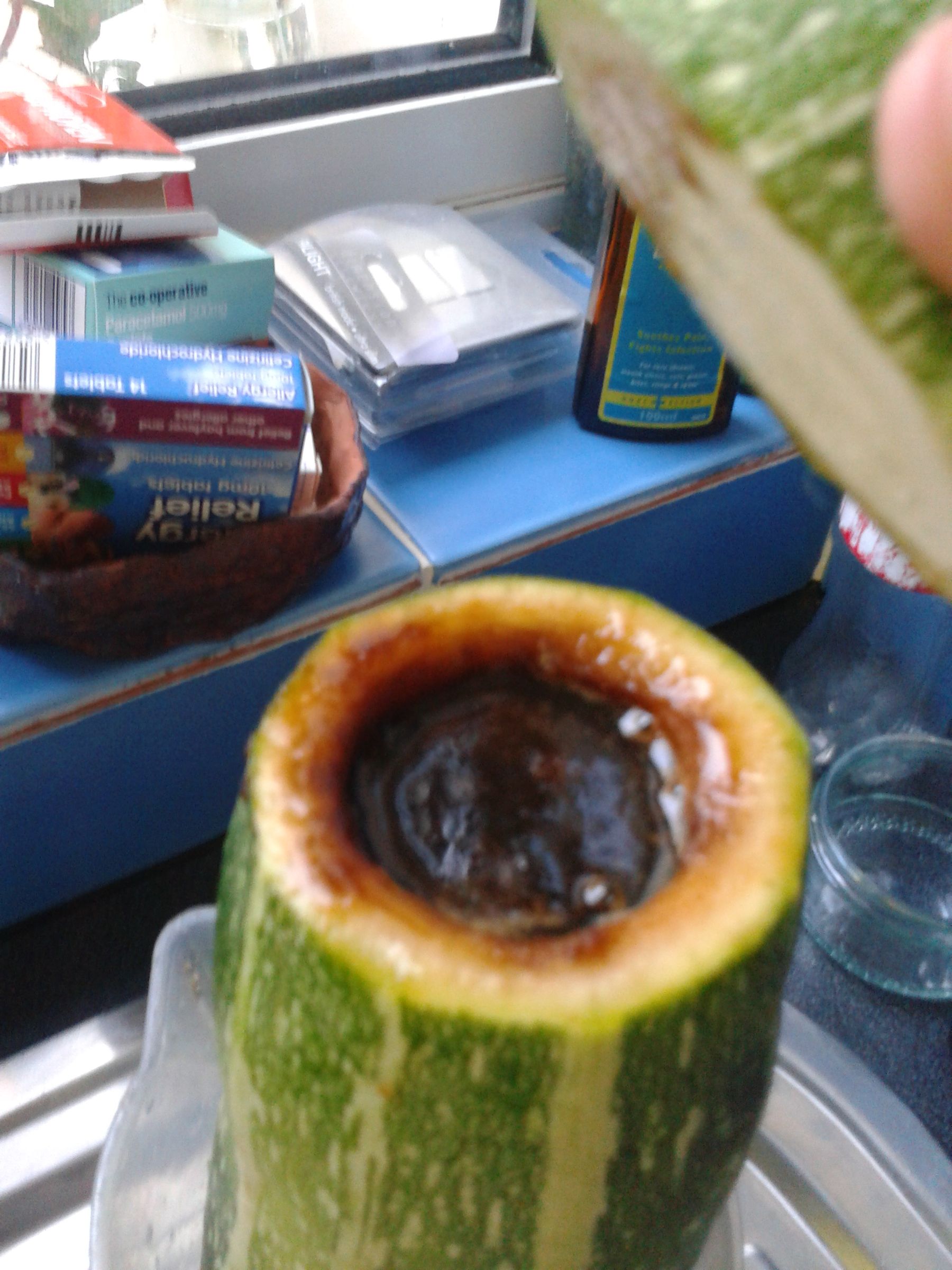 Marrow Rum or "Booze From Otherwise Useless Vegetables" : 7 Steps (with ...