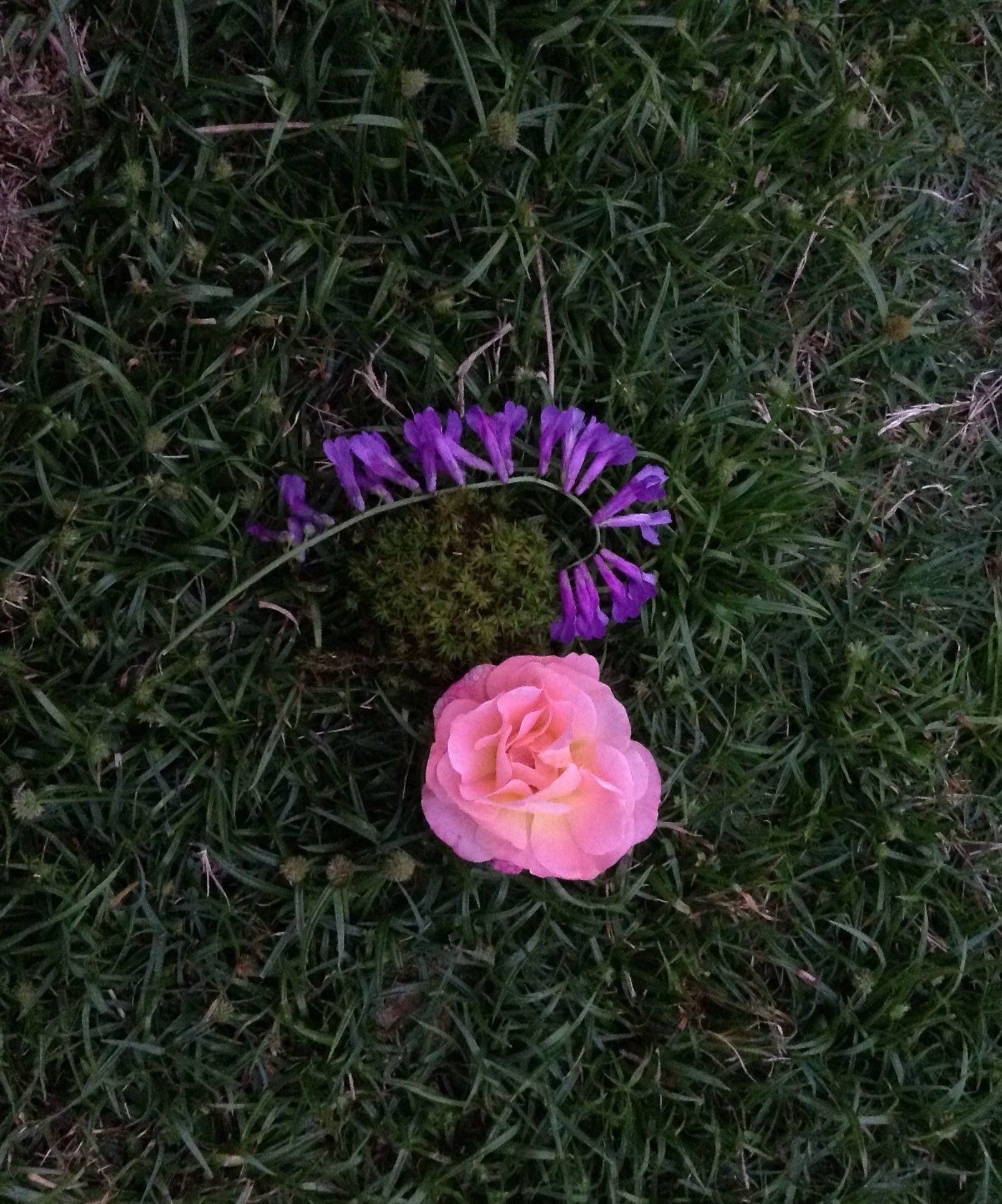 How to Take Beautiful Pictures of Scenic Things : 4 Steps - Instructables