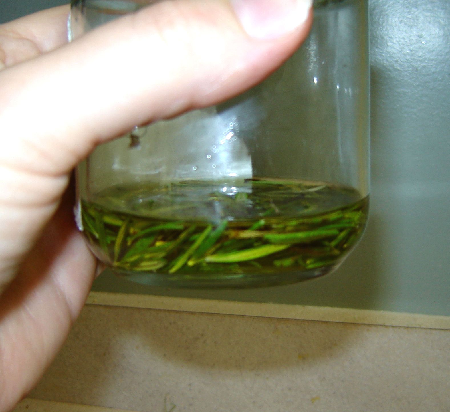 How to Make Infused Oil : 6 Steps (with Pictures) - Instructables