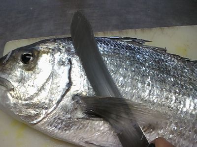 Filleting a Fish : 5 Steps (with Pictures) - Instructables