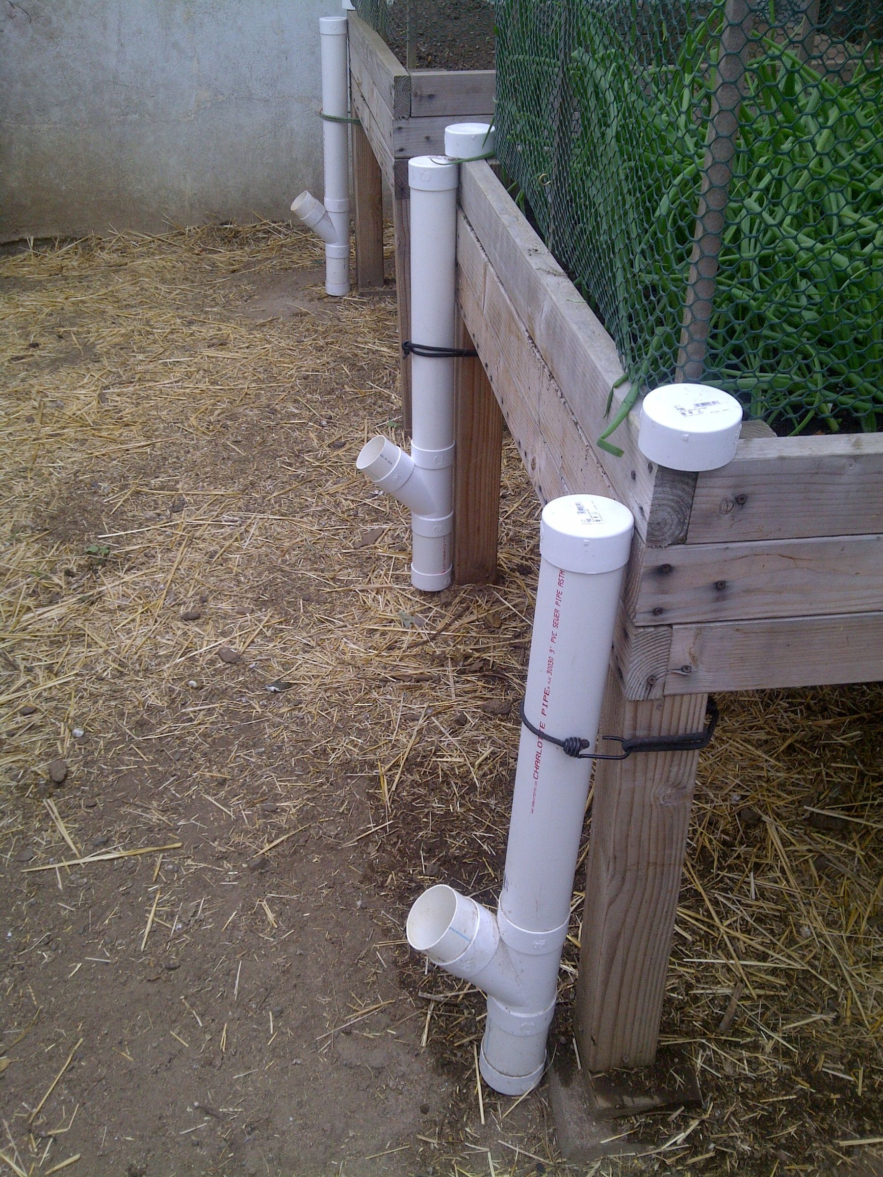 PVC Chicken Feeder : 4 Steps (with Pictures) - Instructables