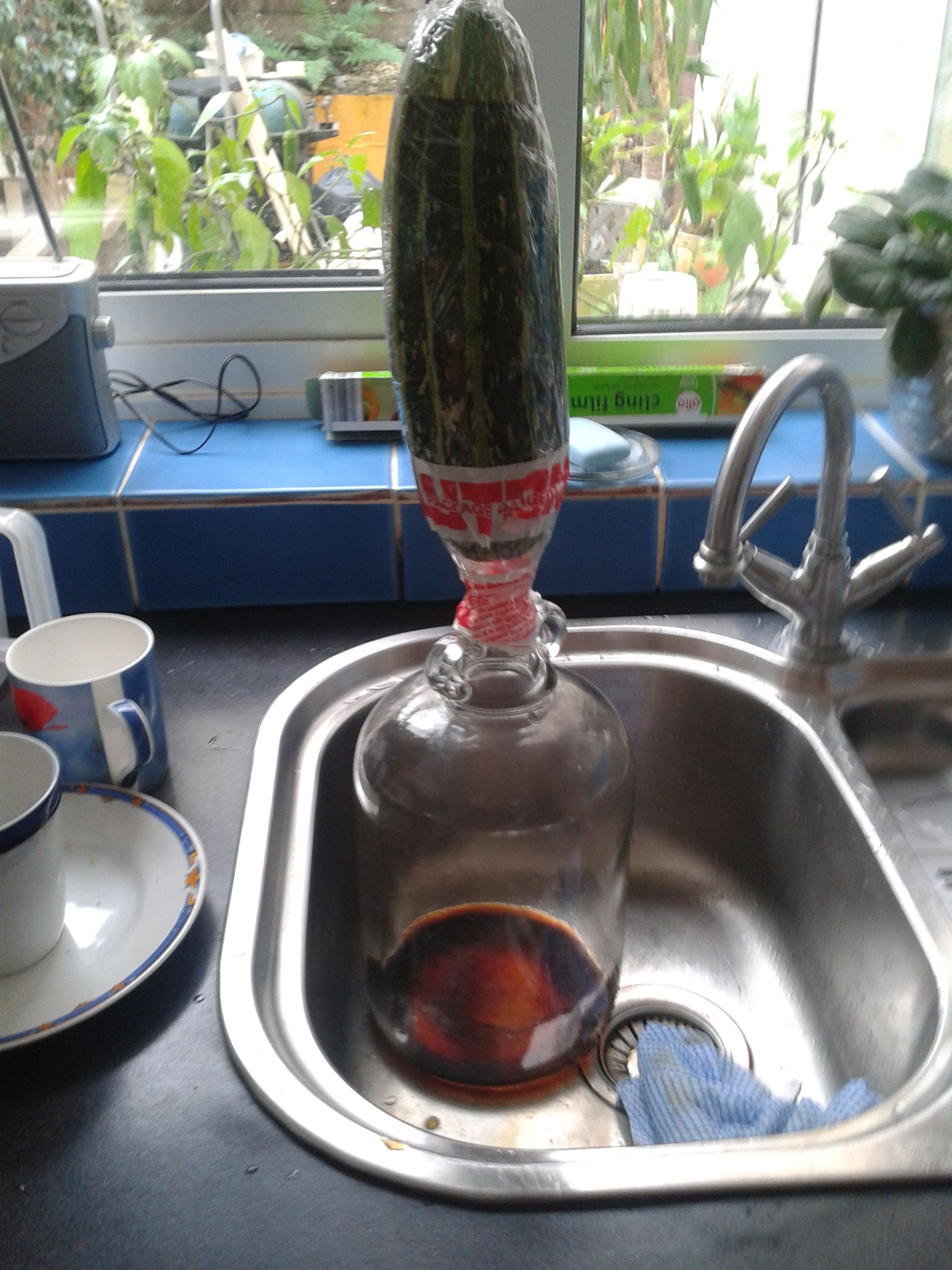 Marrow Rum or "Booze From Otherwise Useless Vegetables" : 7 Steps (with ...