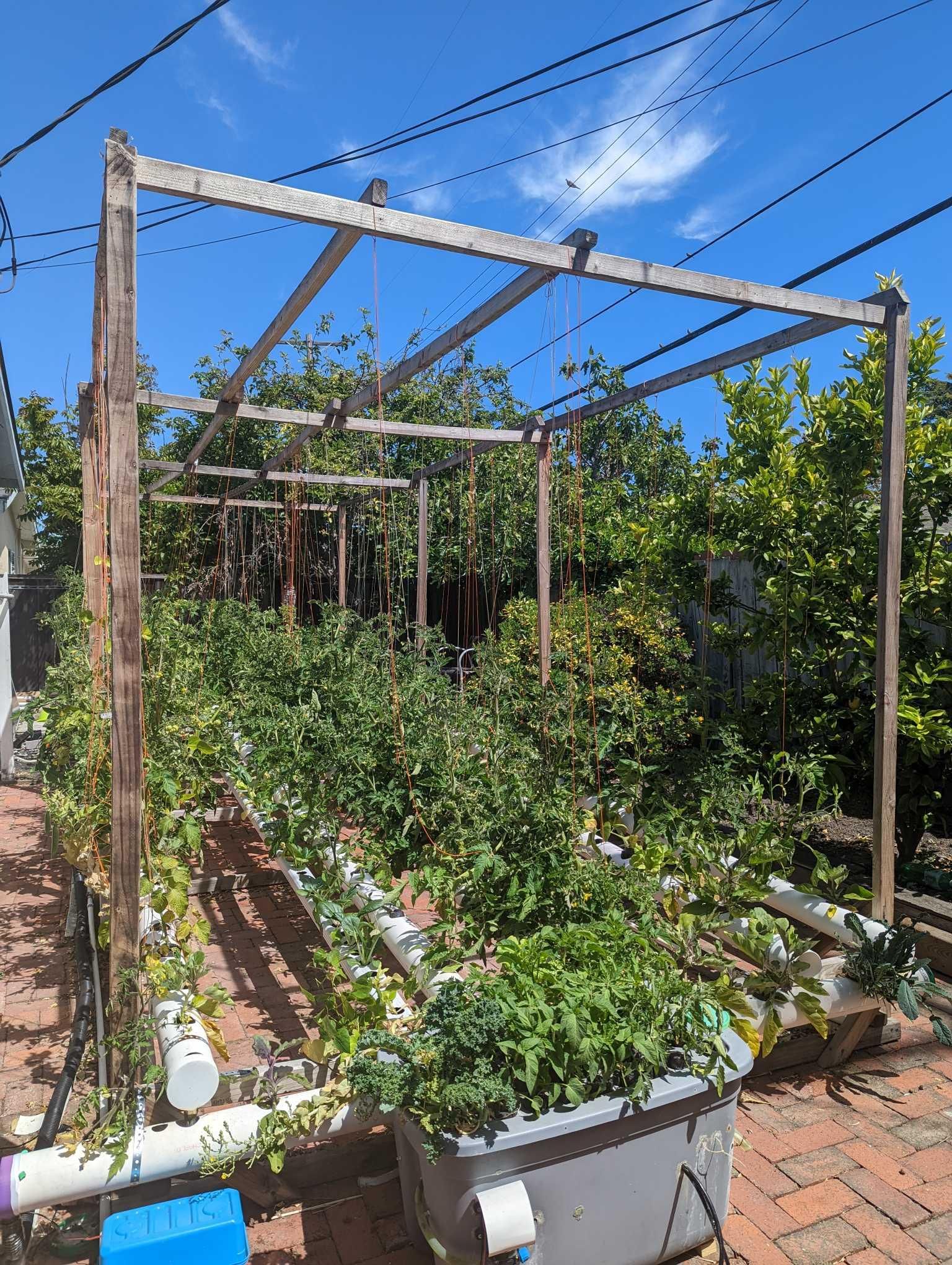 Home Built Hydroponics Growing System : 6 Steps (with Pictures ...