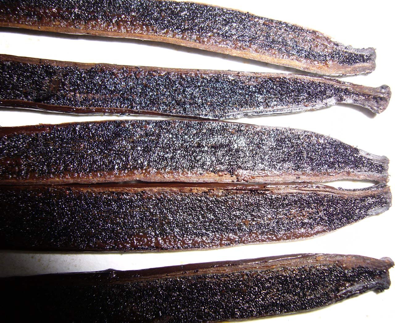 Make Vanilla Extract : 23 Steps (with Pictures) - Instructables