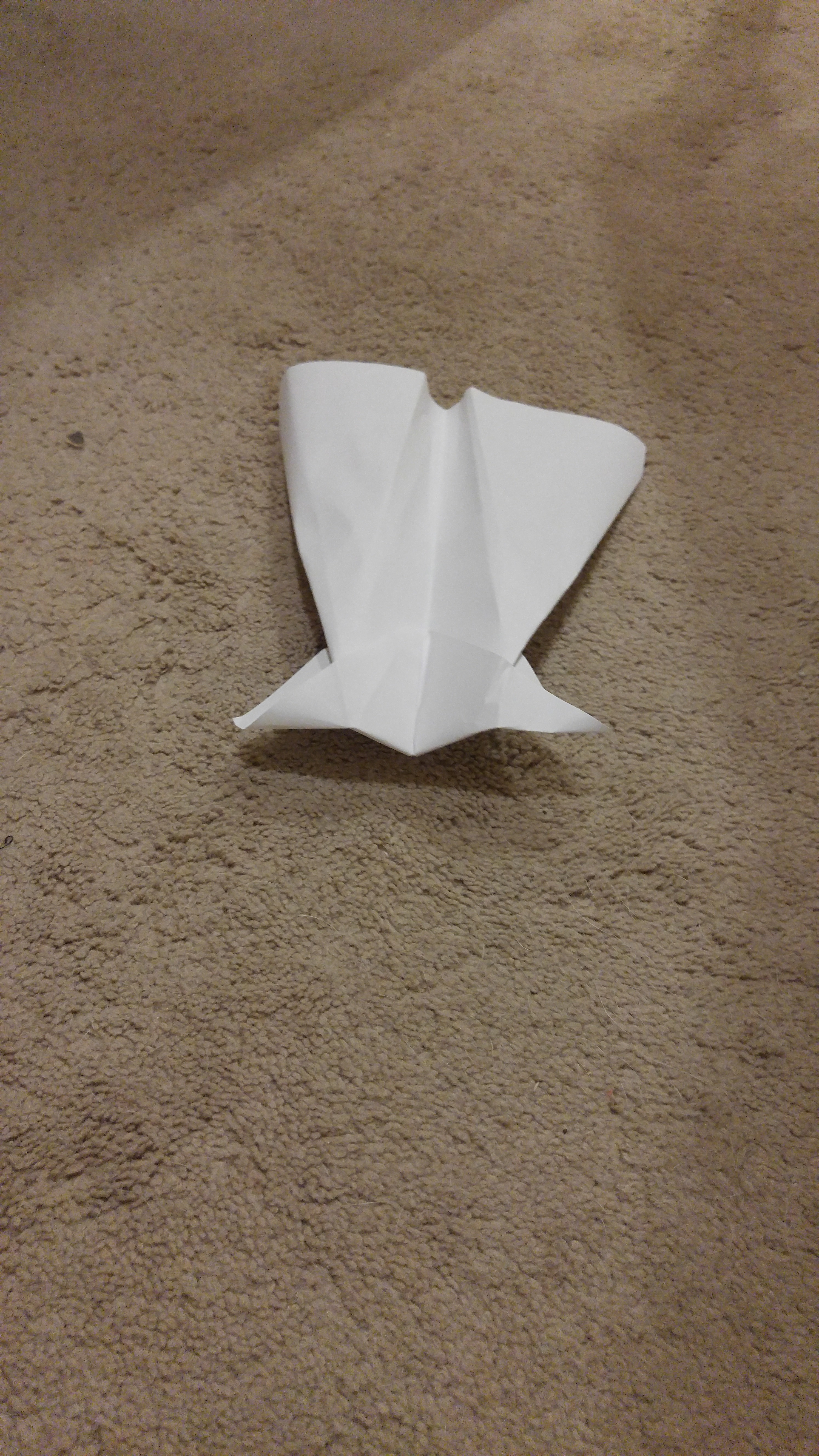 How to Make the Fastest Paper Airplane : 8 Steps (with Pictures ...