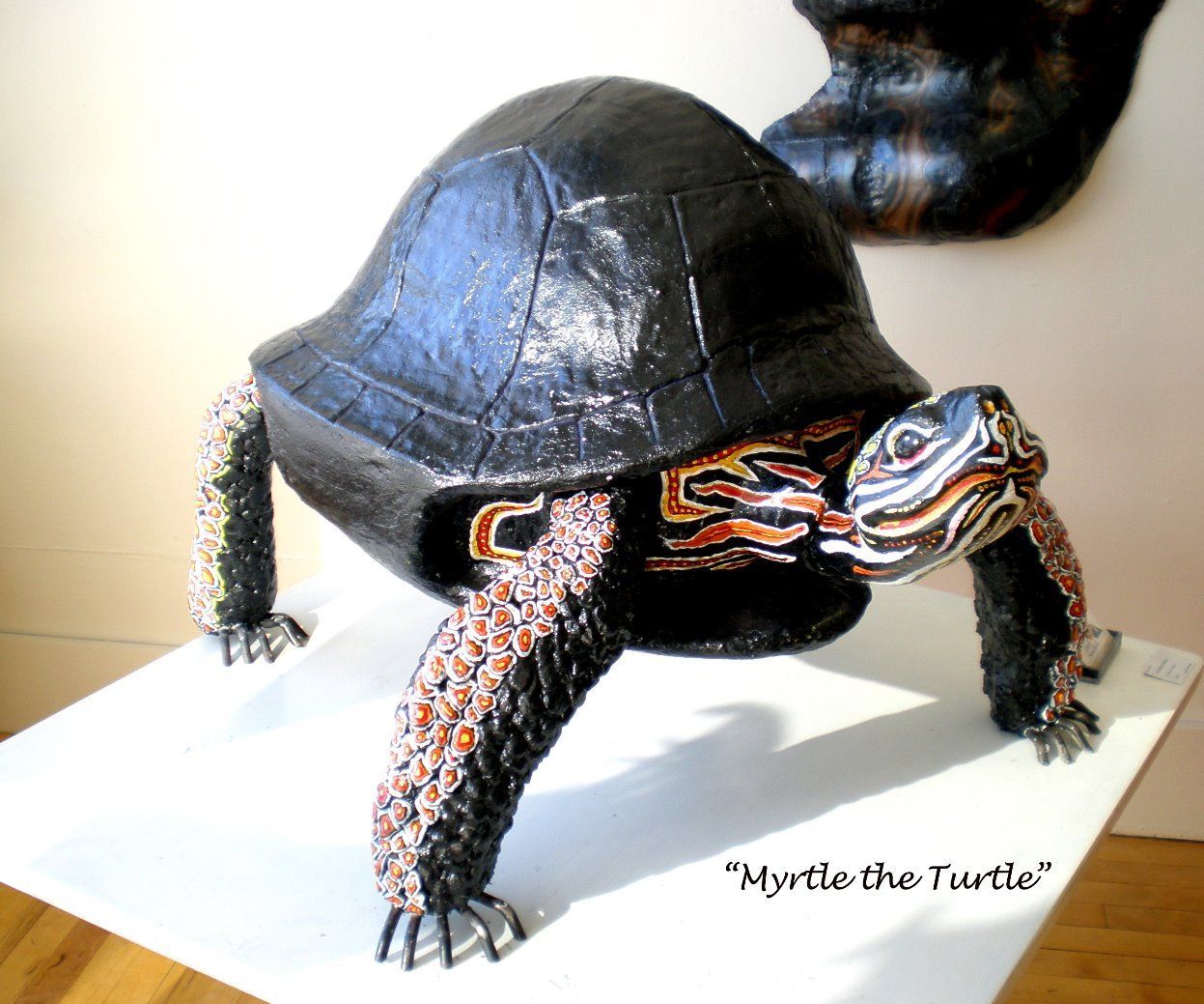 The Making of "Myrtle the Turtle" : 14 Steps (with Pictures ...