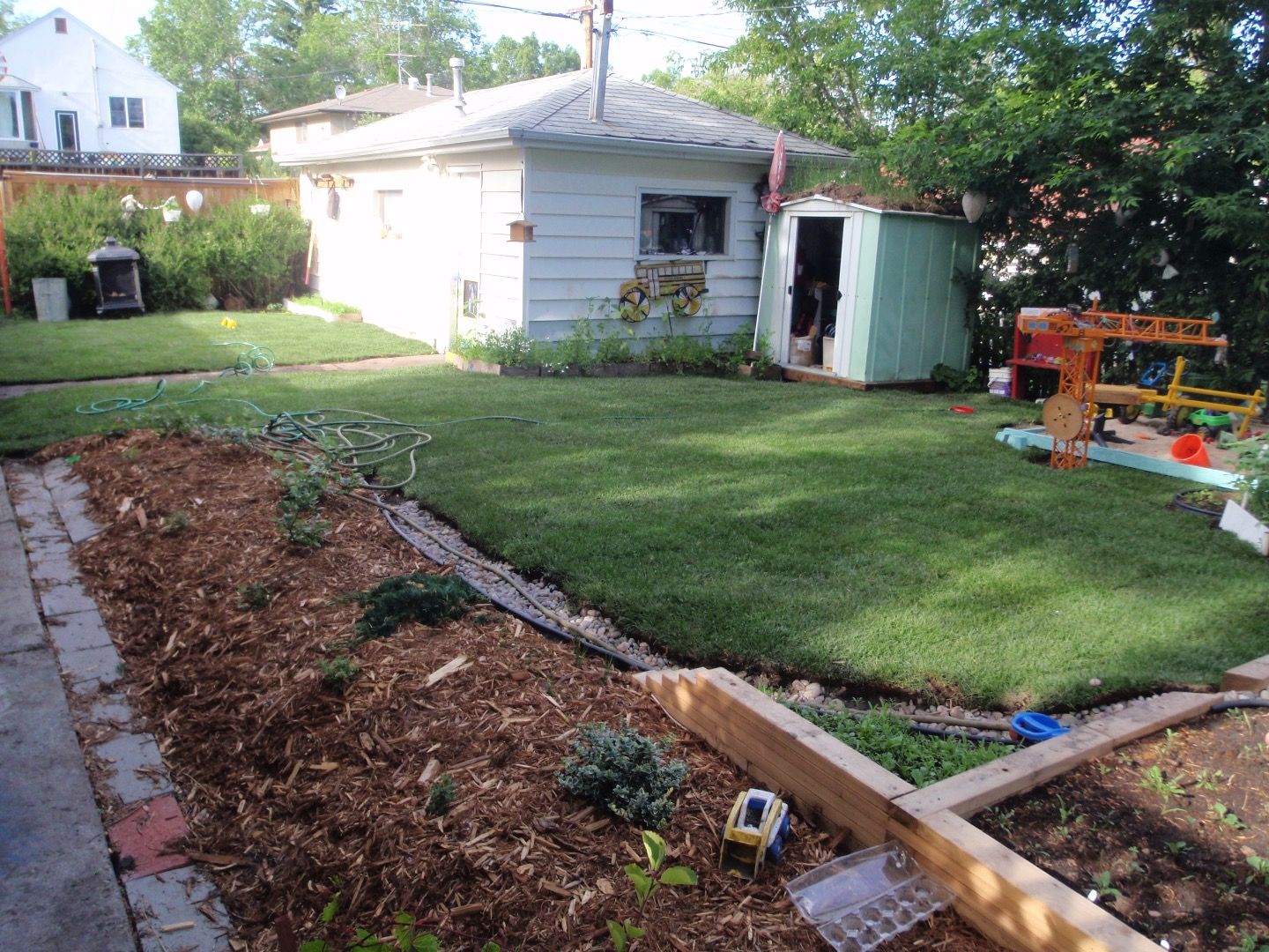 Restore a Backyard With Dead Soil (Before and After) : 9 Steps (with ...
