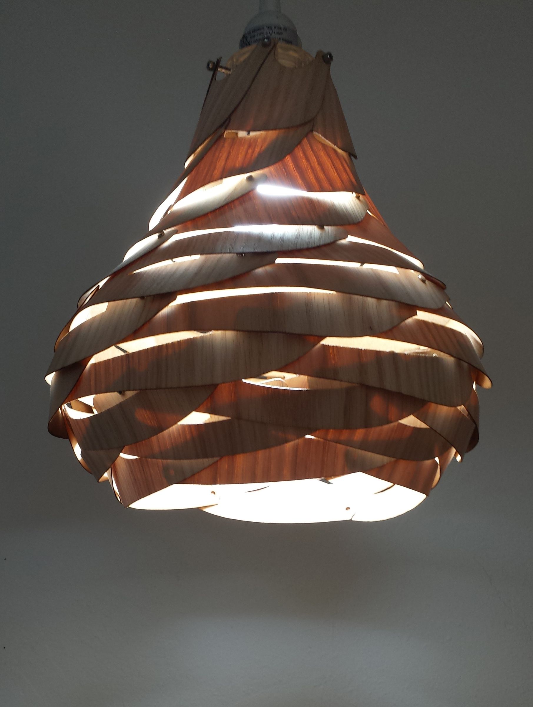 Bloom Parametric Pendant Lamp : 10 Steps (with Pictures) - Instructables