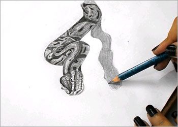 3D Drawings : How to Make 3d Snake Step by Step : 4 Steps - Instructables