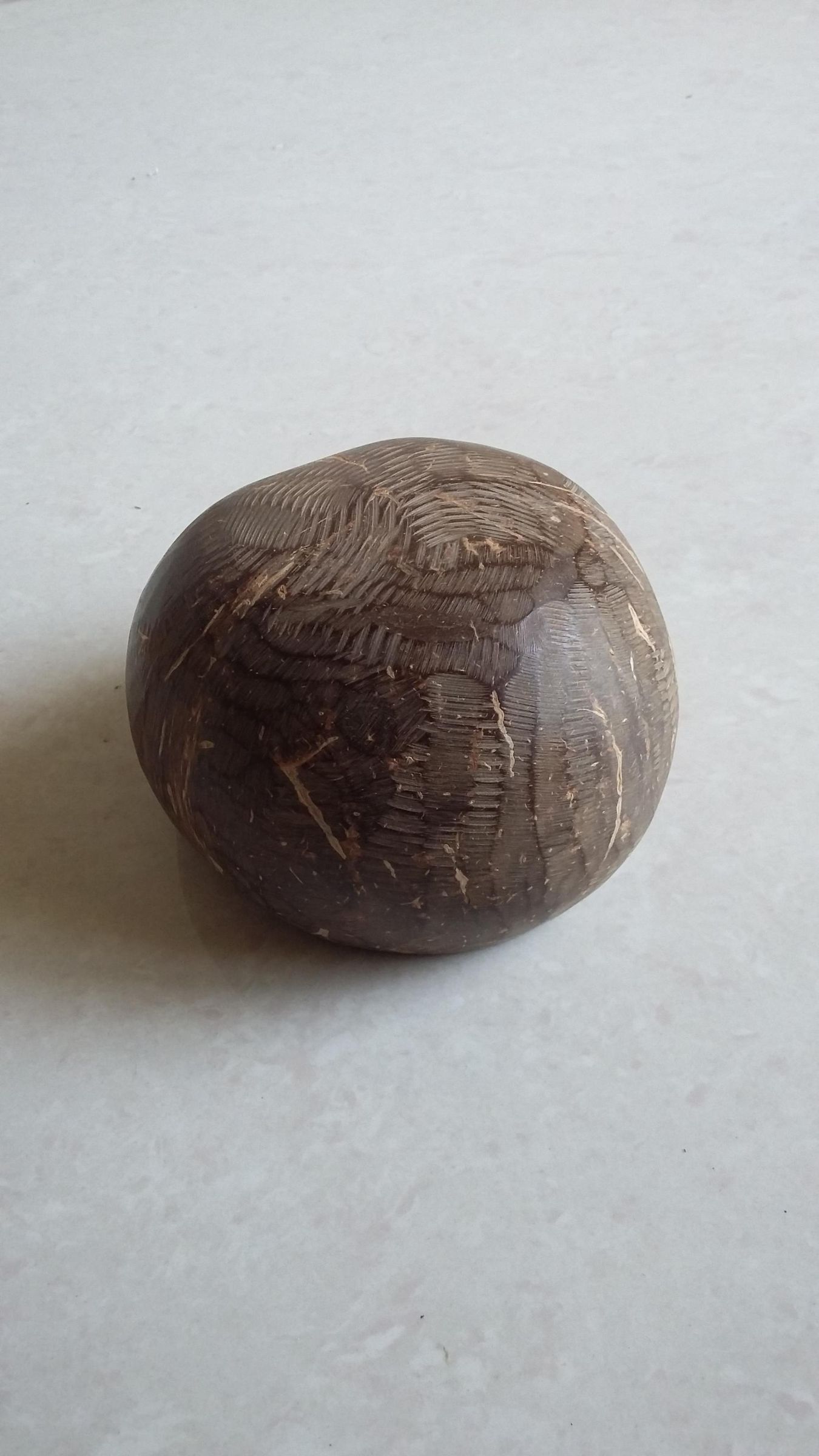 Coconut Shell Music Instrument : 12 Steps - Instructables