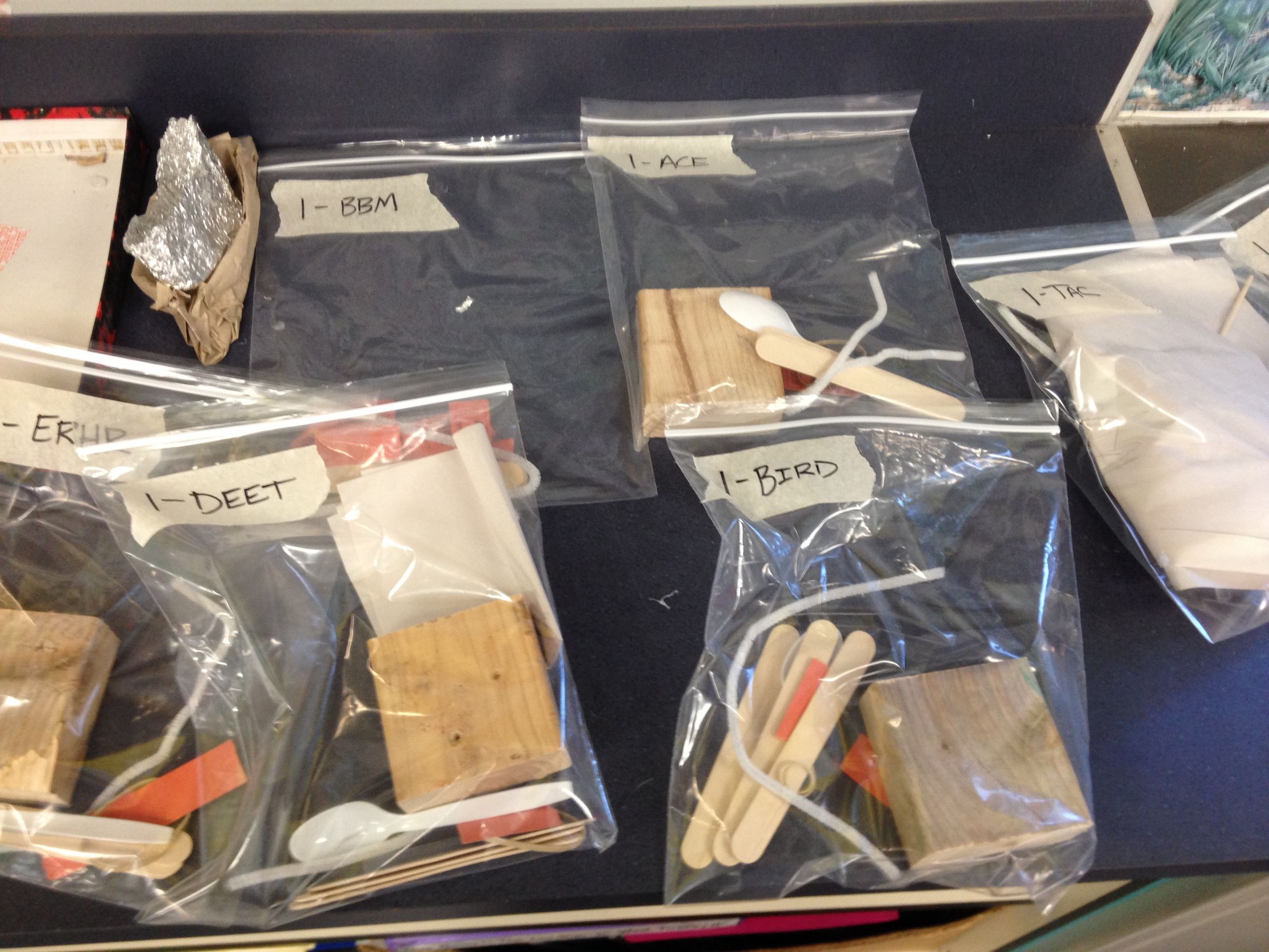 A Fresh Take on Catapults in the Classroom : 6 Steps (with Pictures ...