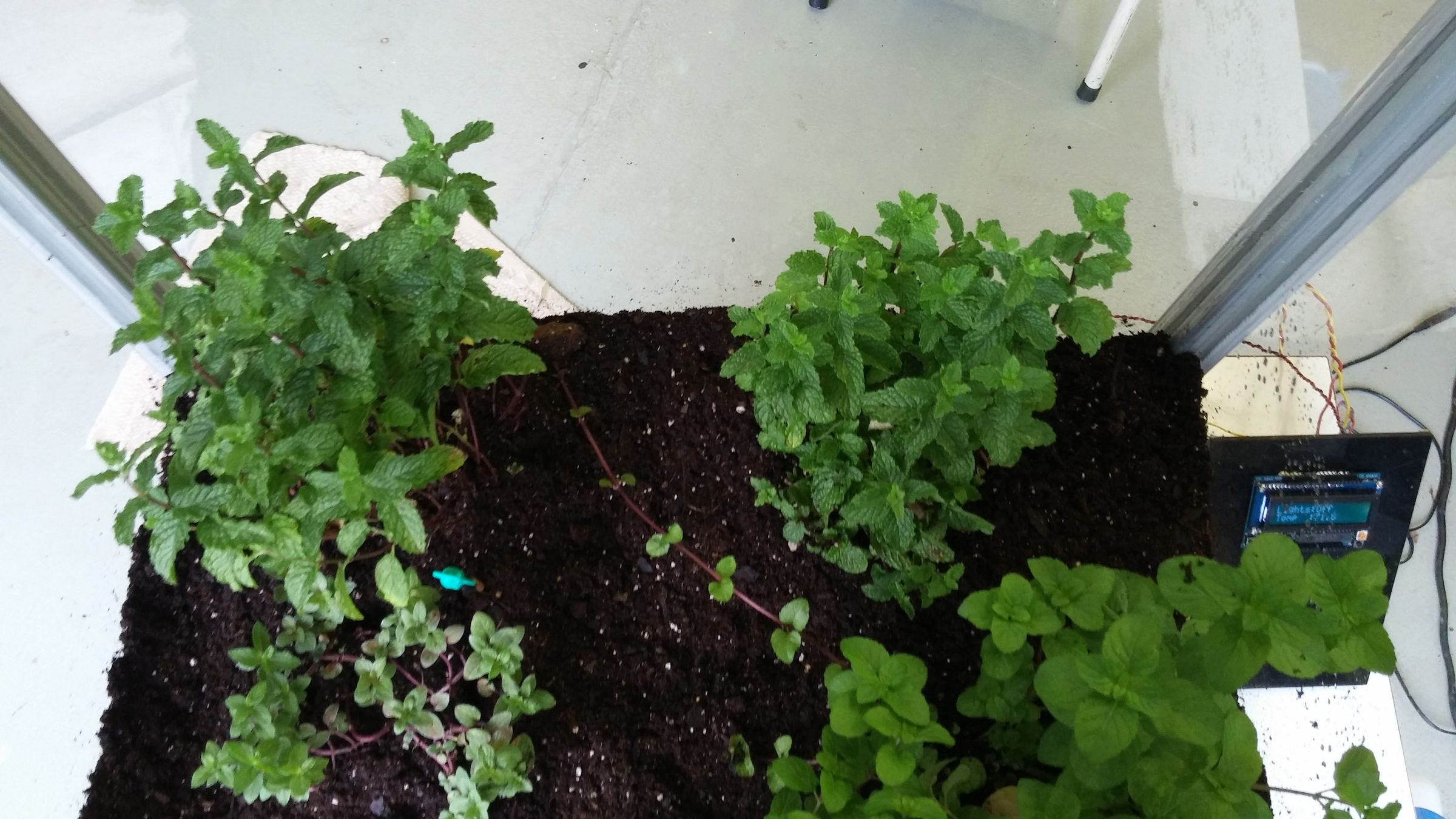 GrOwn - a Solar Powered Arduino Garden : 7 Steps (with Pictures ...