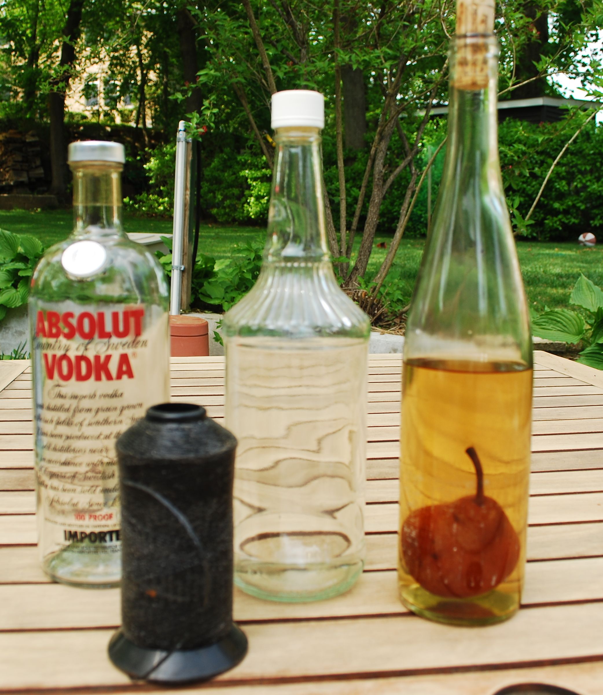 Grow a Pear in a Bottle : 6 Steps - Instructables