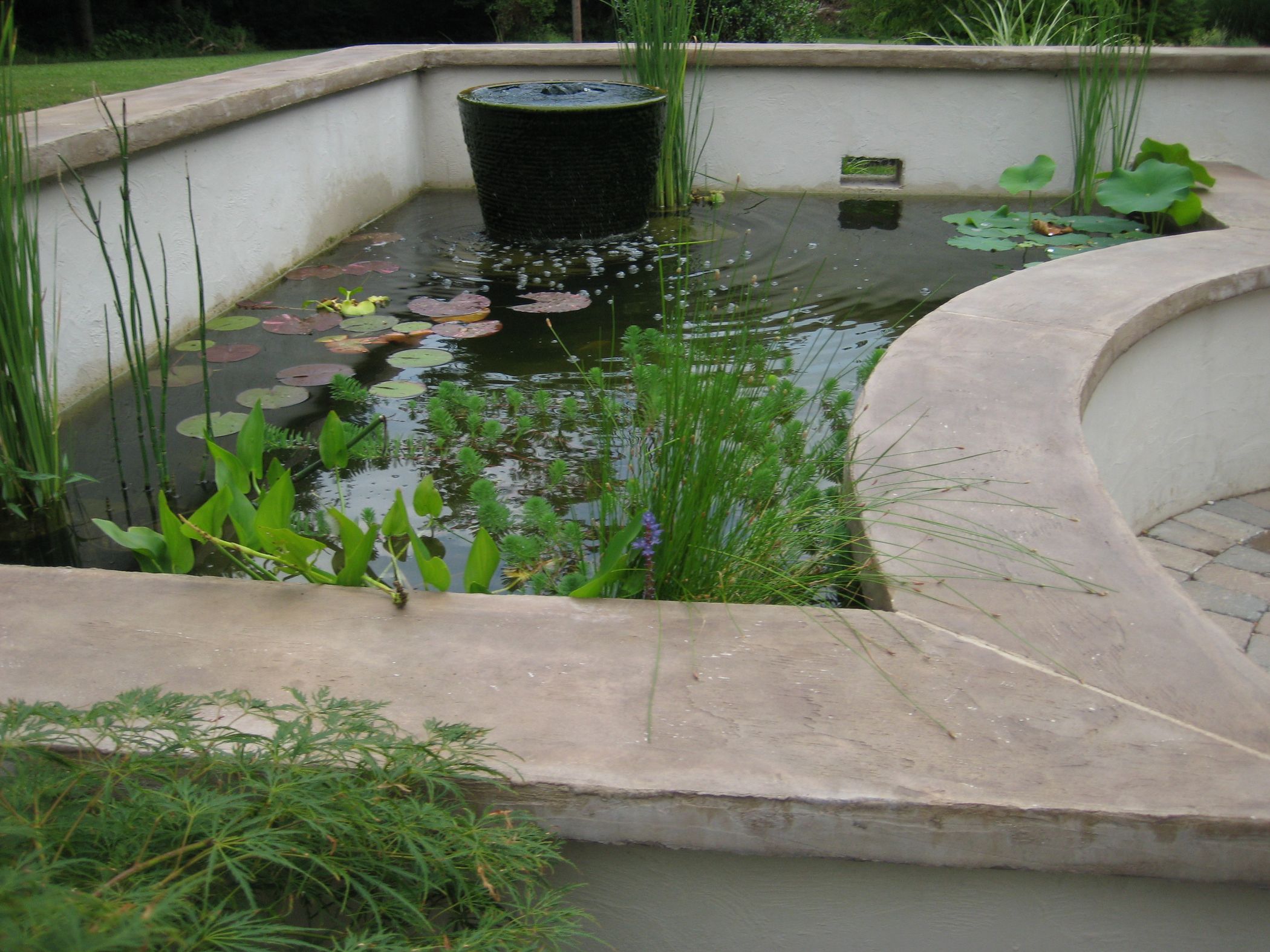 The Ultimate Koi Pond : 15 Steps (with Pictures) - Instructables